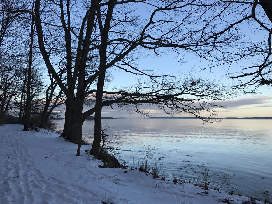 Winter Water Ocean free image download