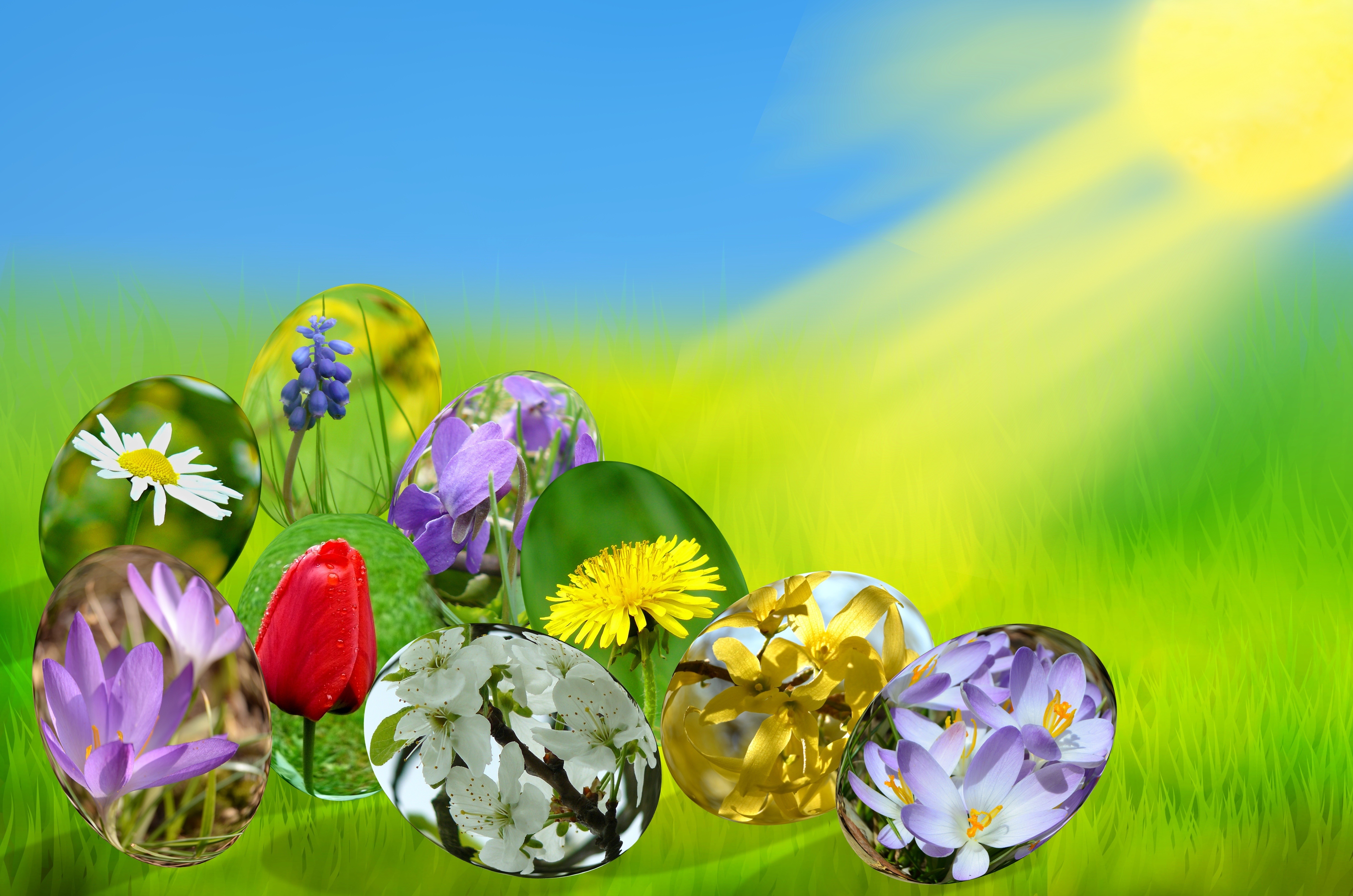 Easter Eggs Spring free image download