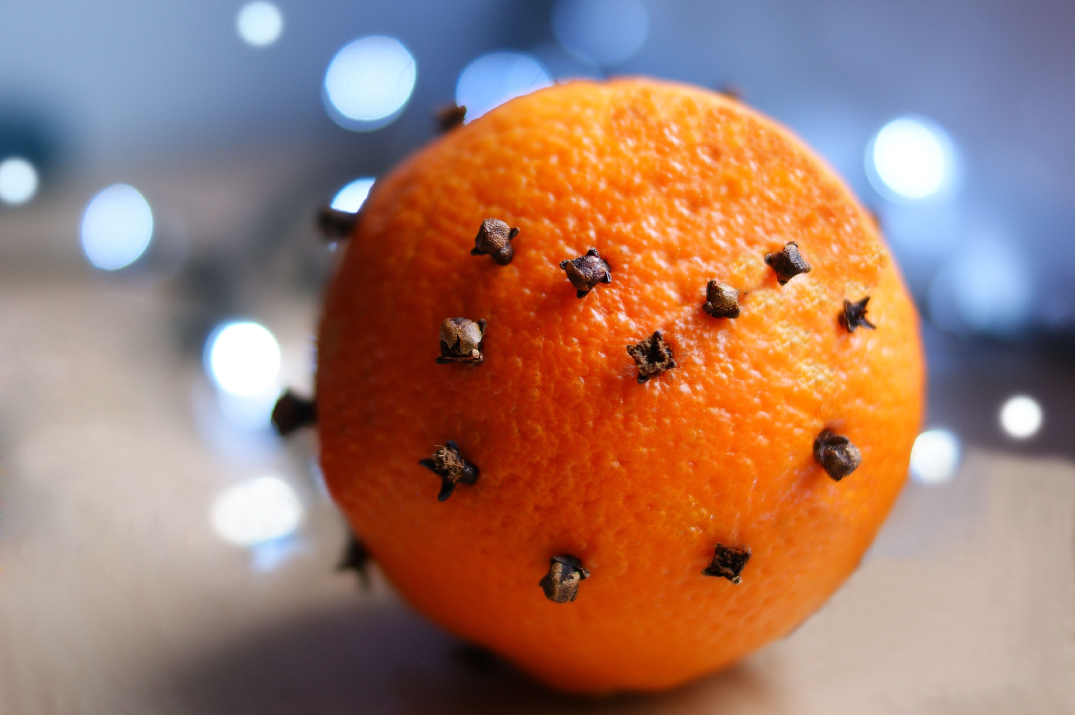 Leftover orange in carnations free image download