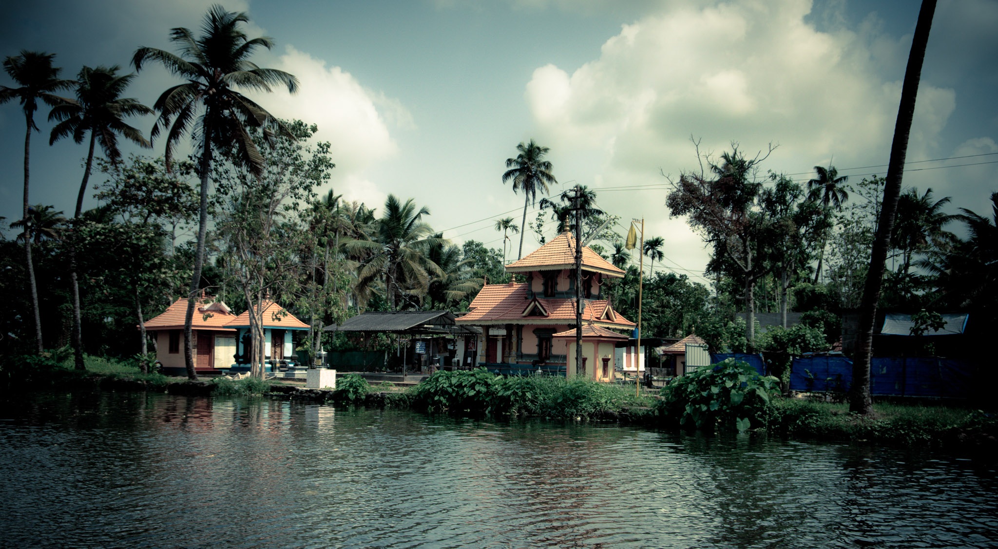 India Kerala Palm Trees free image download