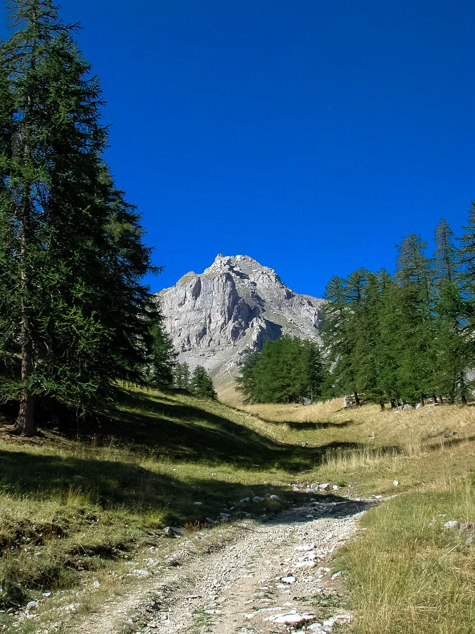 Nature Path Hiking free image download