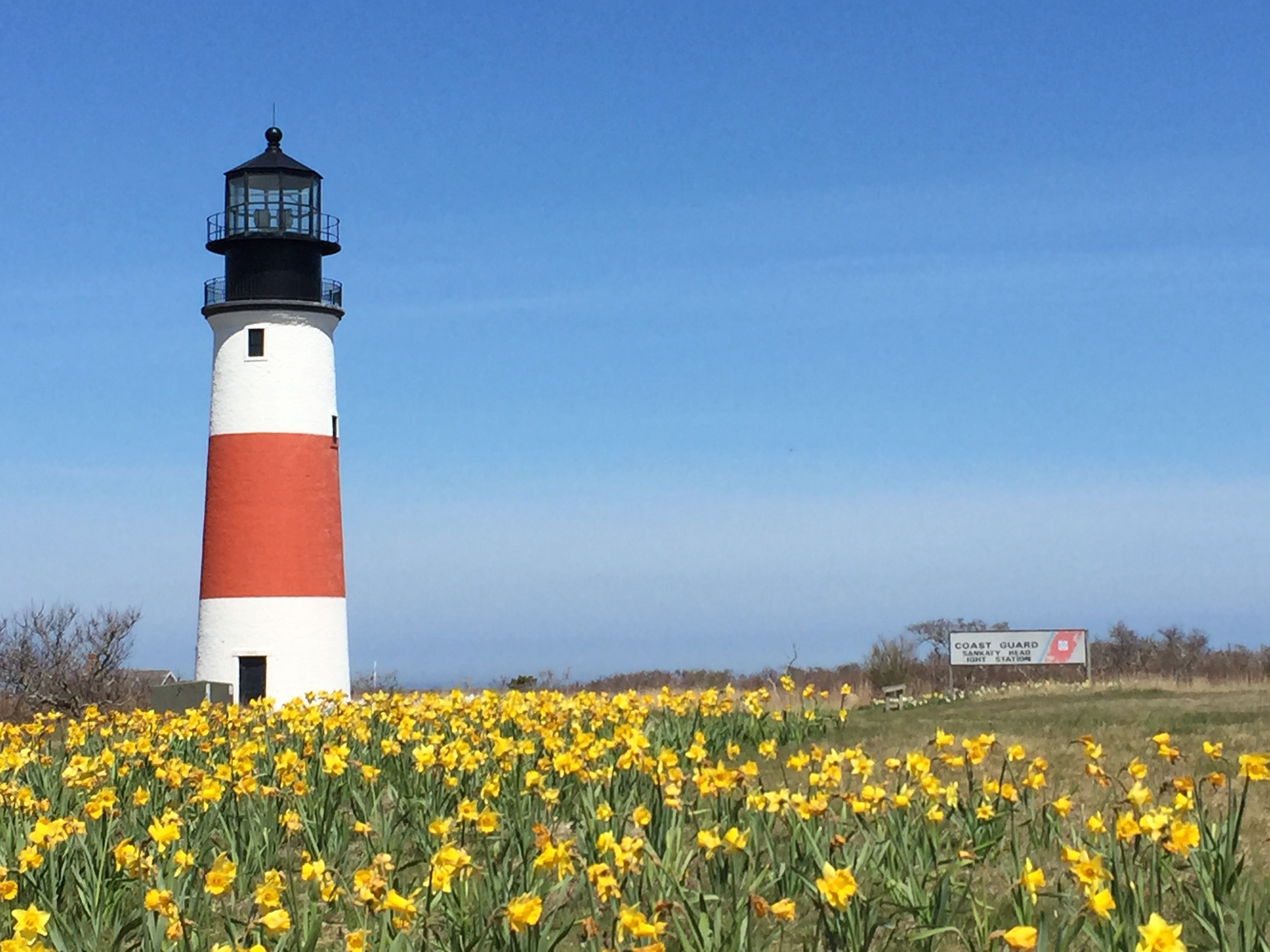 The old lighthouse in the flower field free image download