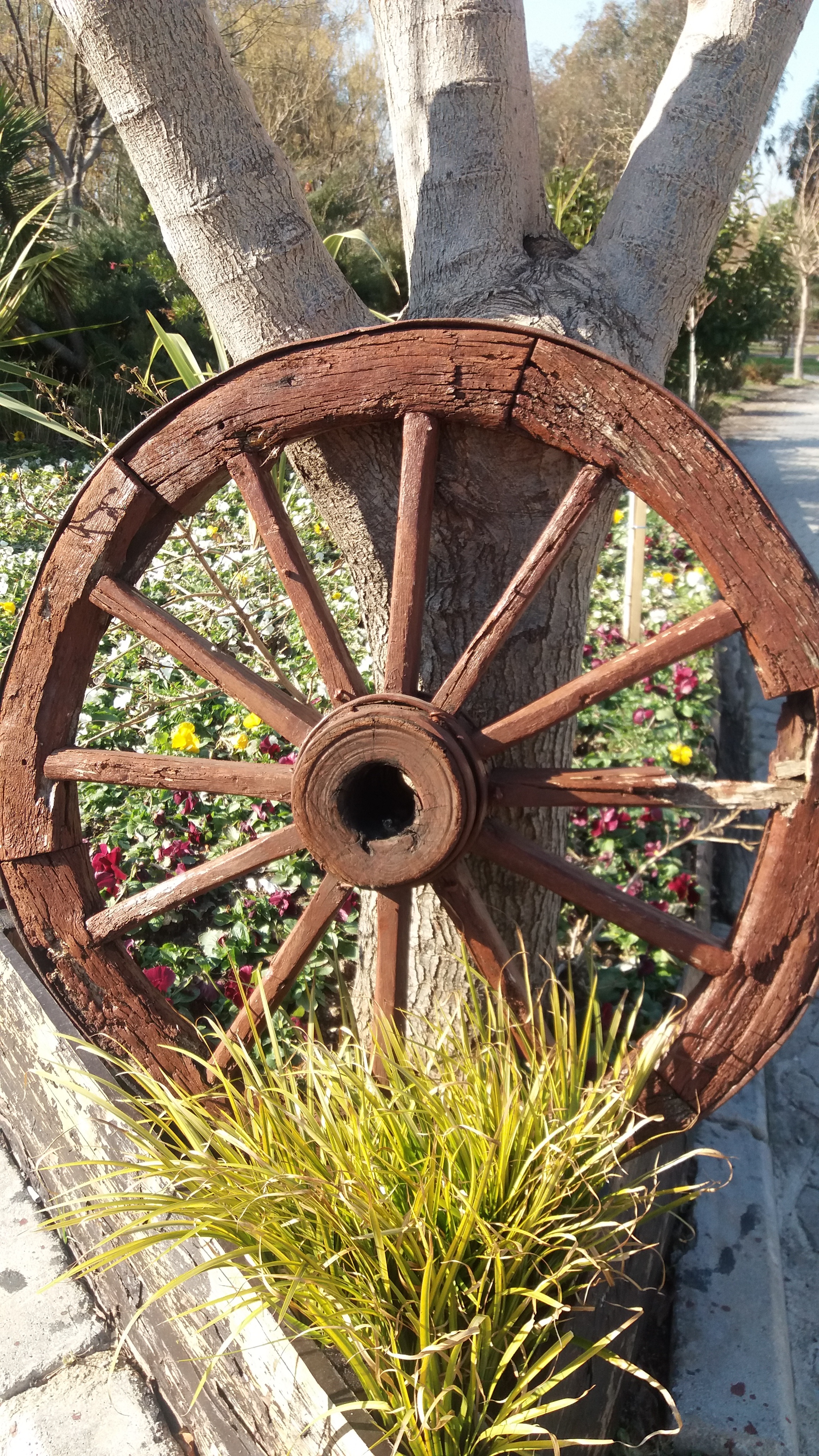 Wheel Decor free image download