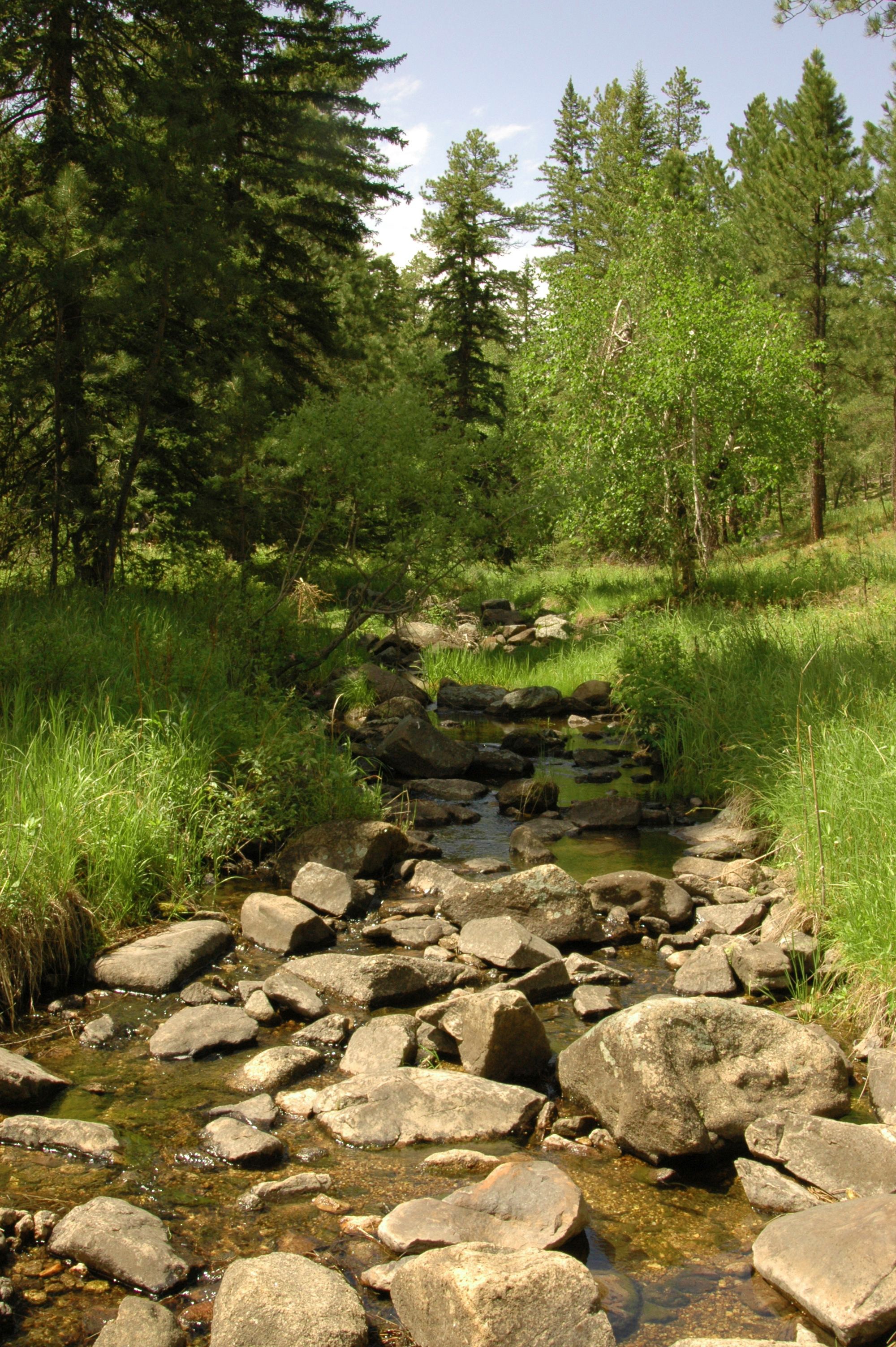 Stream Brook Mountains free image download