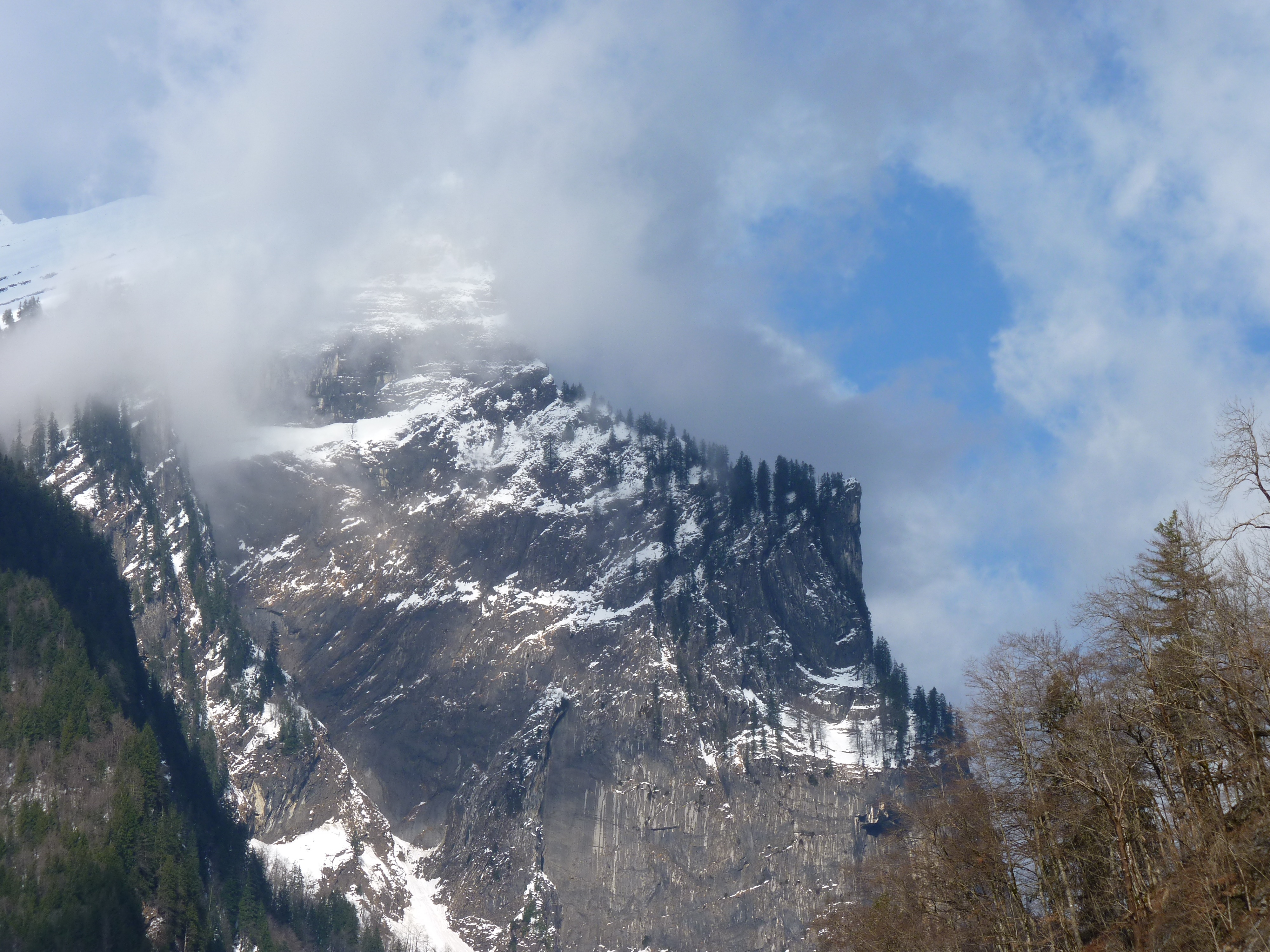 Mountain Alpine Fog free image download