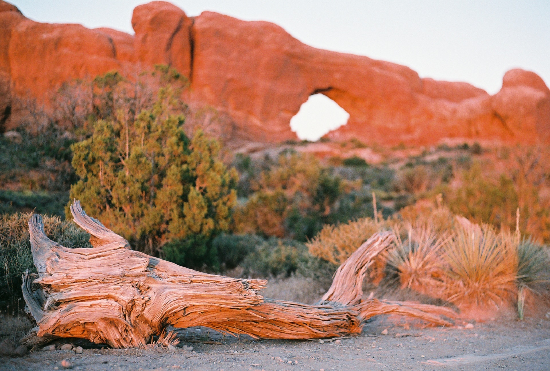 Scenic Landscape Nature utah free image download
