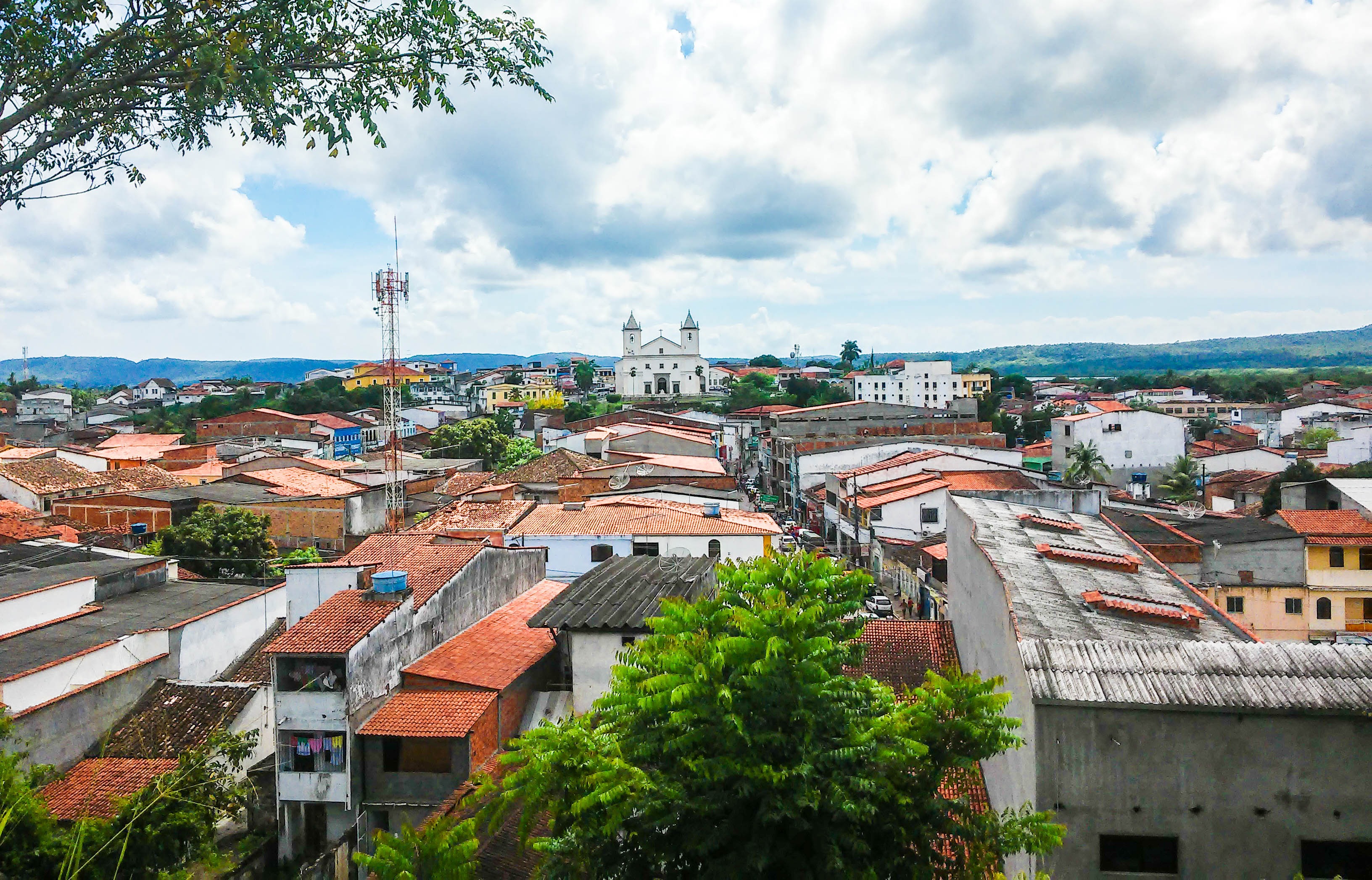 Bahia Tree Sky free image download
