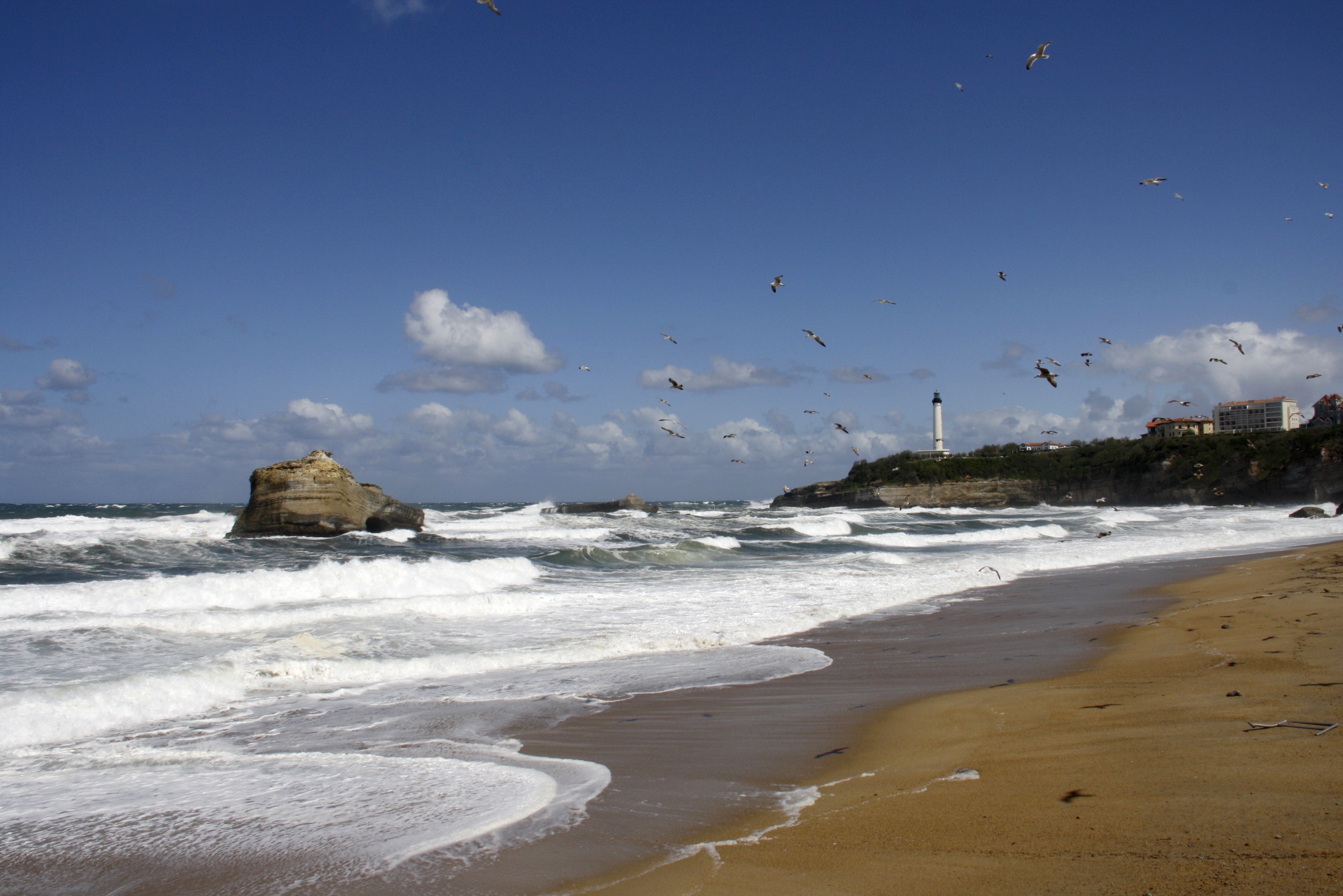 Sea Beach Lighthouse Bay Of free image download