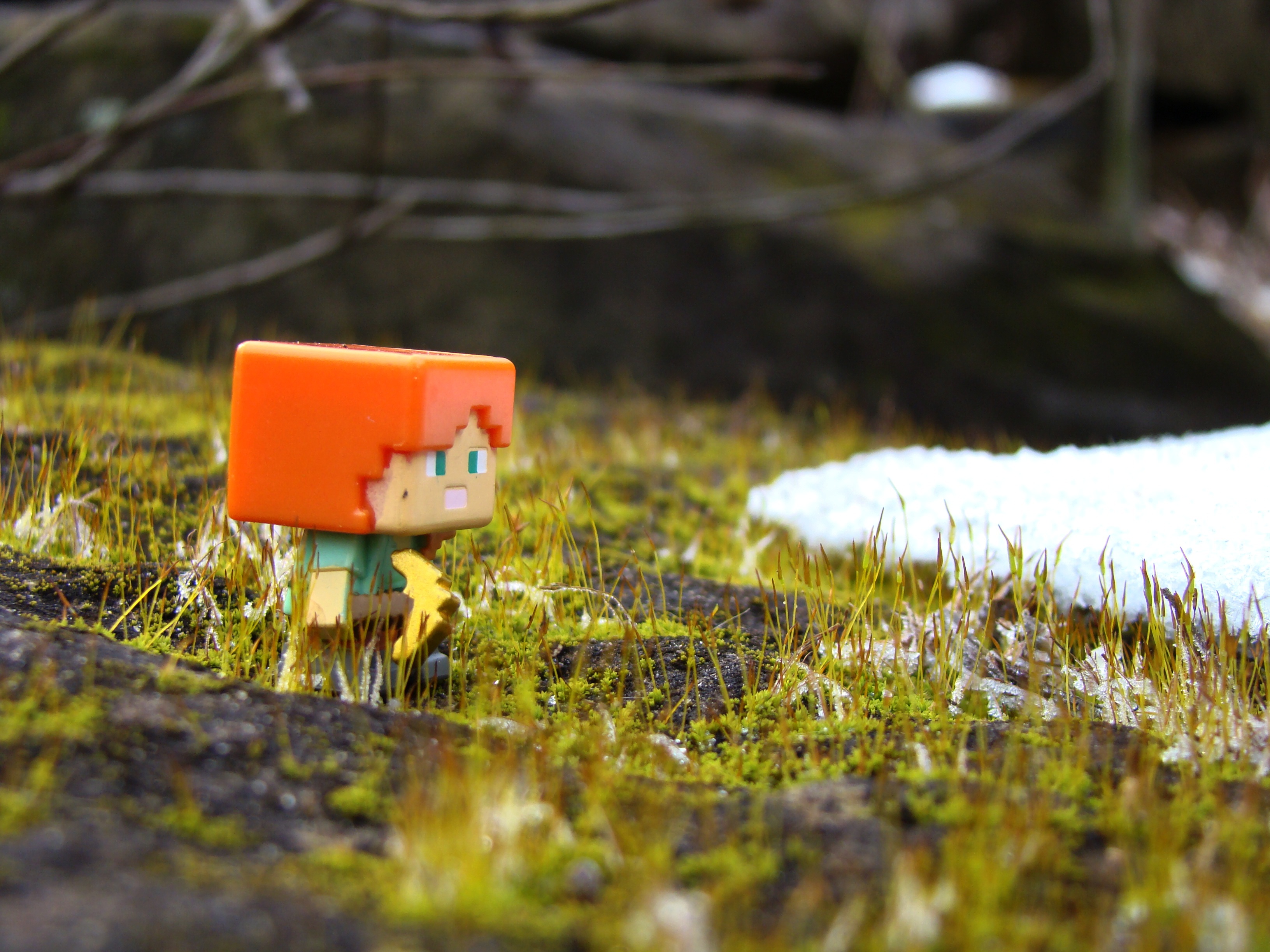 Minecraft Alex Toy Real free image download