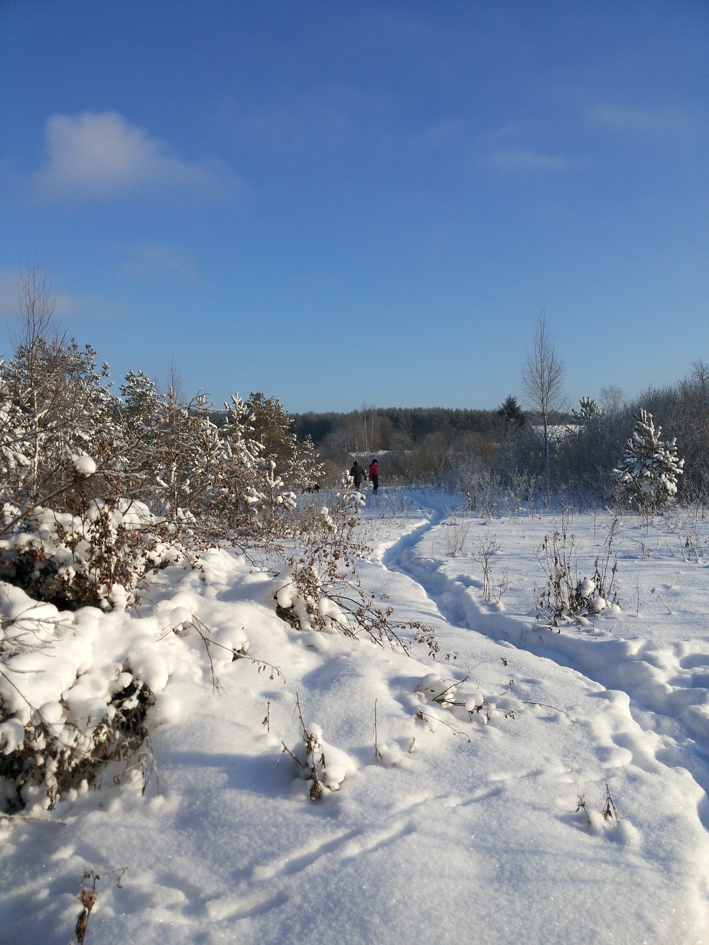 The Snow-Covered Field Snow Frost free image download