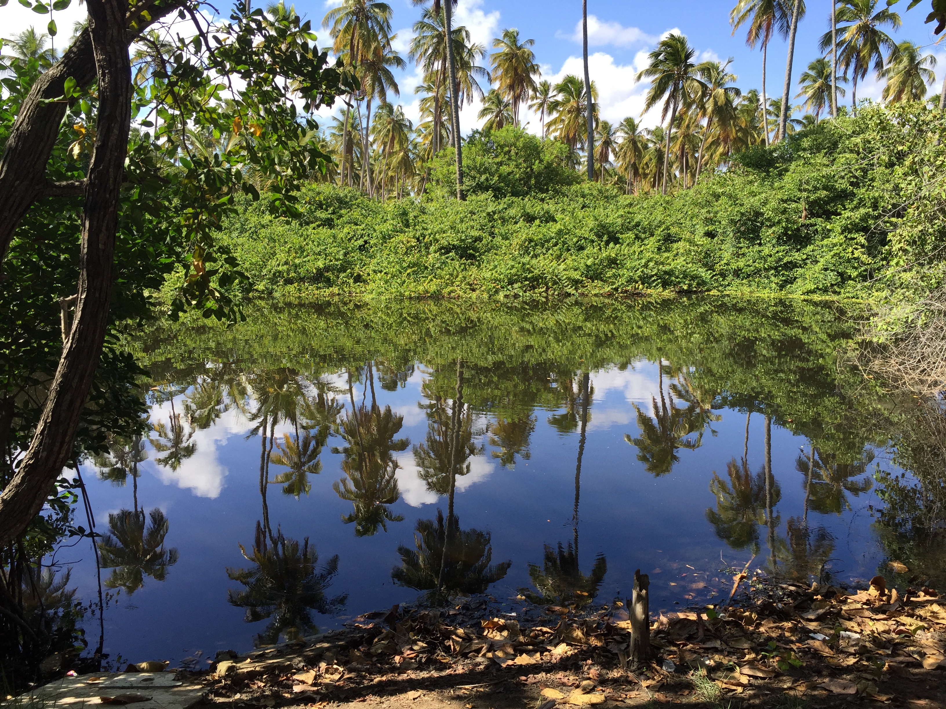 Rio Nature Jatiuca free image download