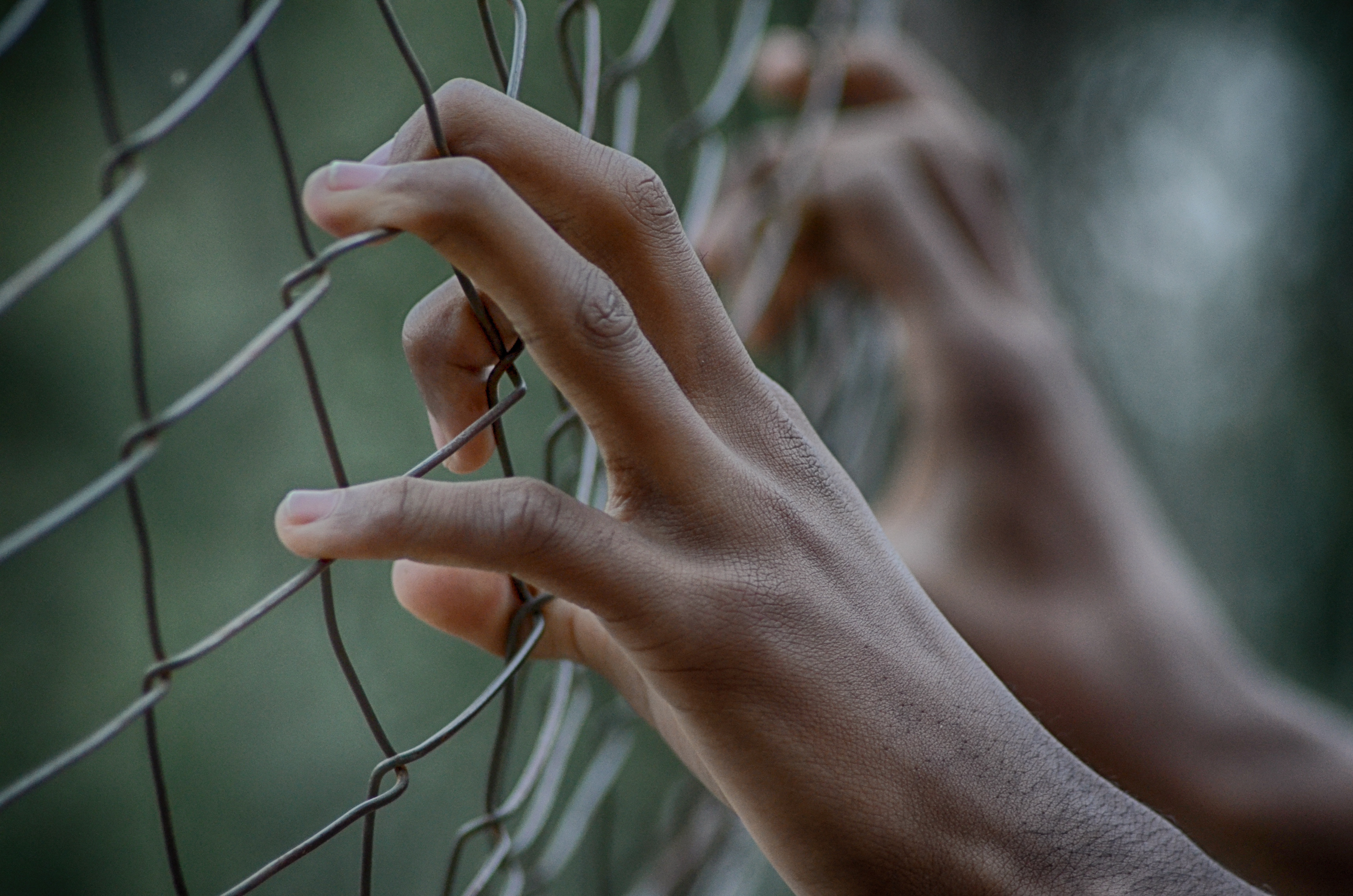 Fence Freedom Prison free image download