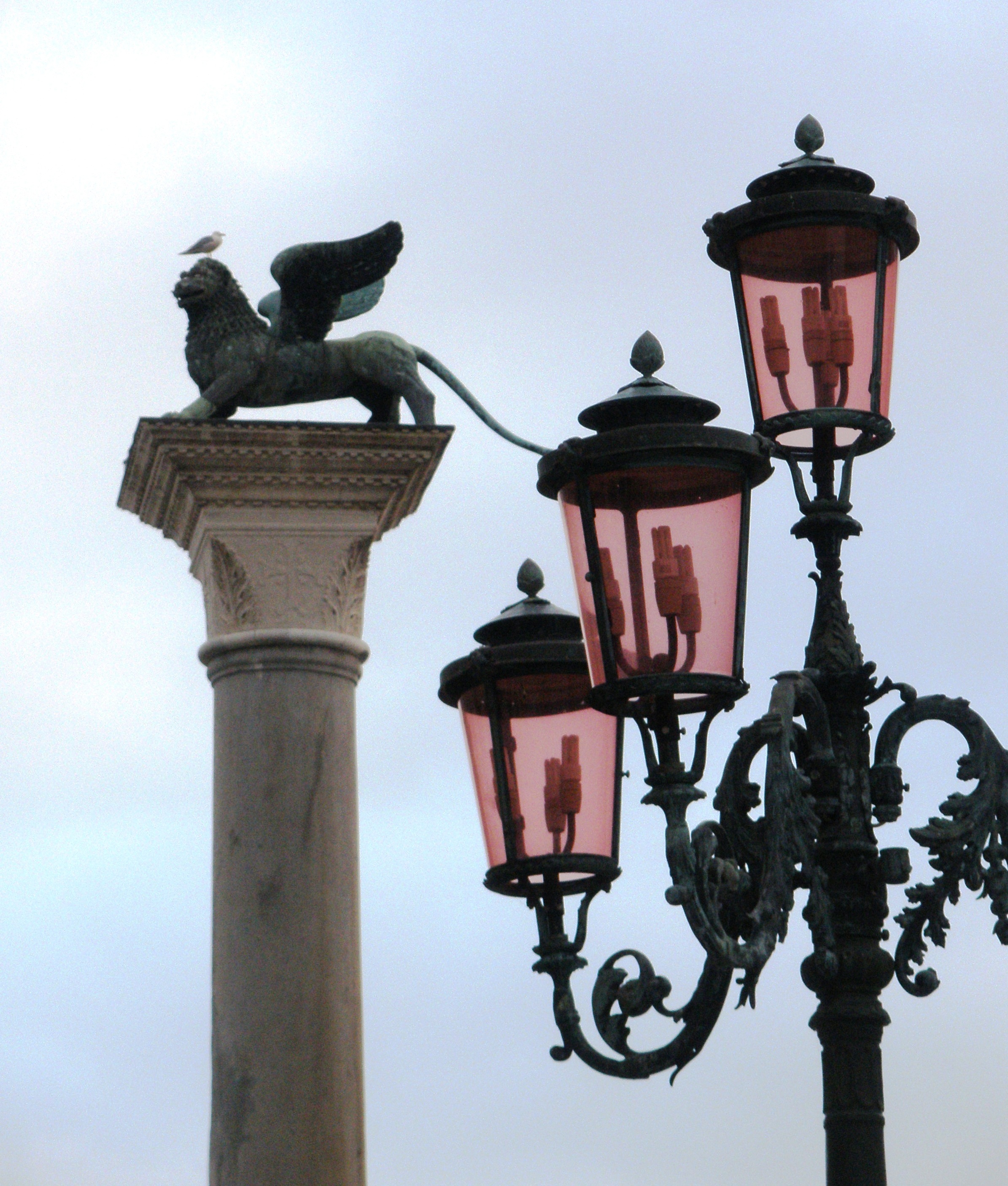Venice Leon Italy Street free image download