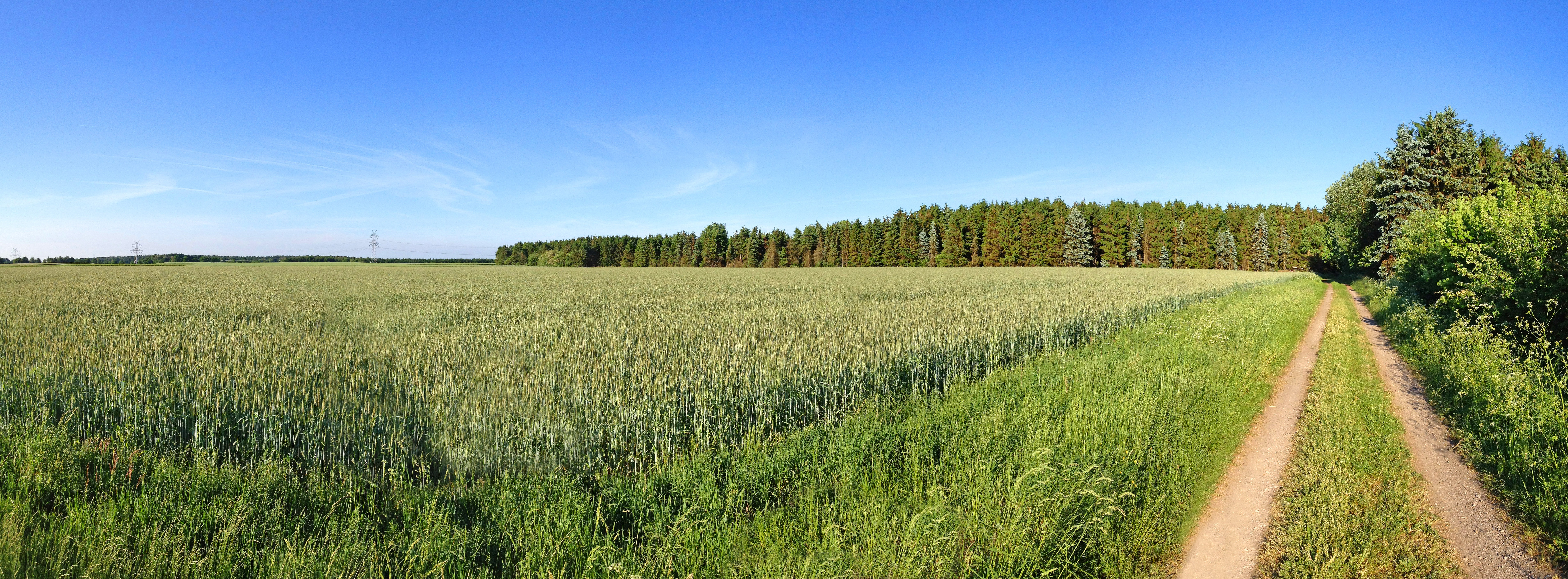Lane Field Away free image download