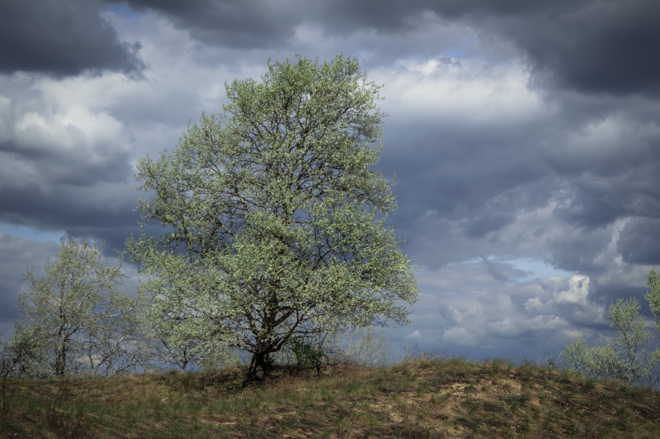 Spring Cloudy Rain Cloud free image download