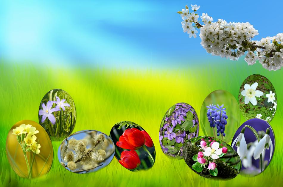 Easter Eggs Spring free image download