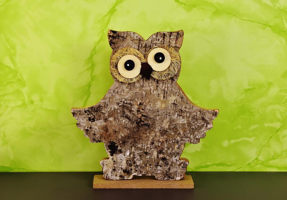 Owl Wood Tree Bark free image download