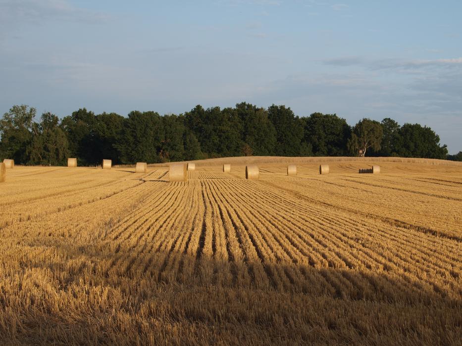 Straw Bales Field free image download
