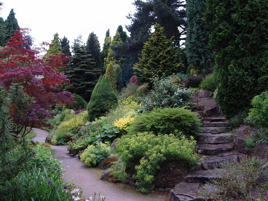 Garden Trees Nature free image download