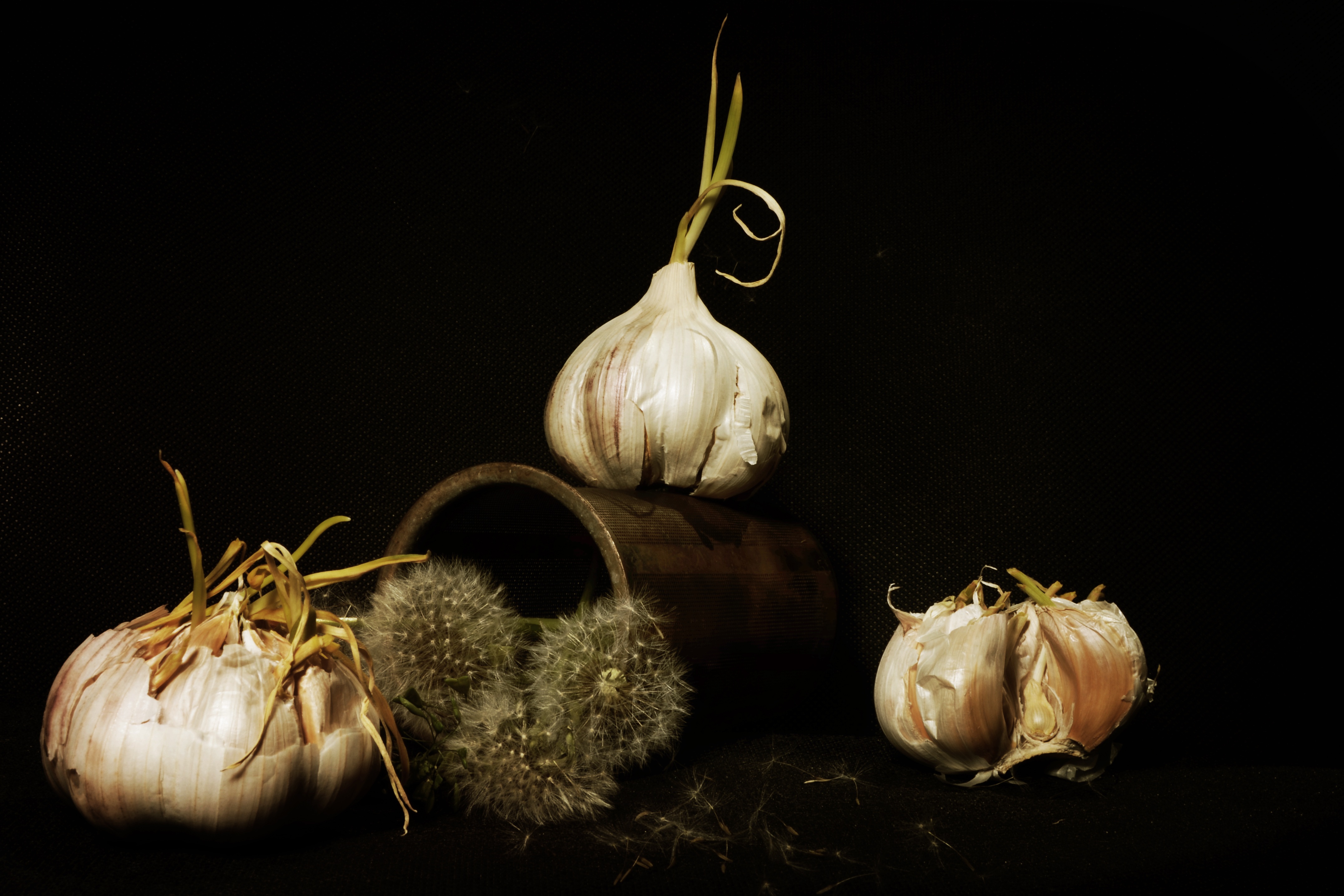 Garlic Still Life Staging free image download