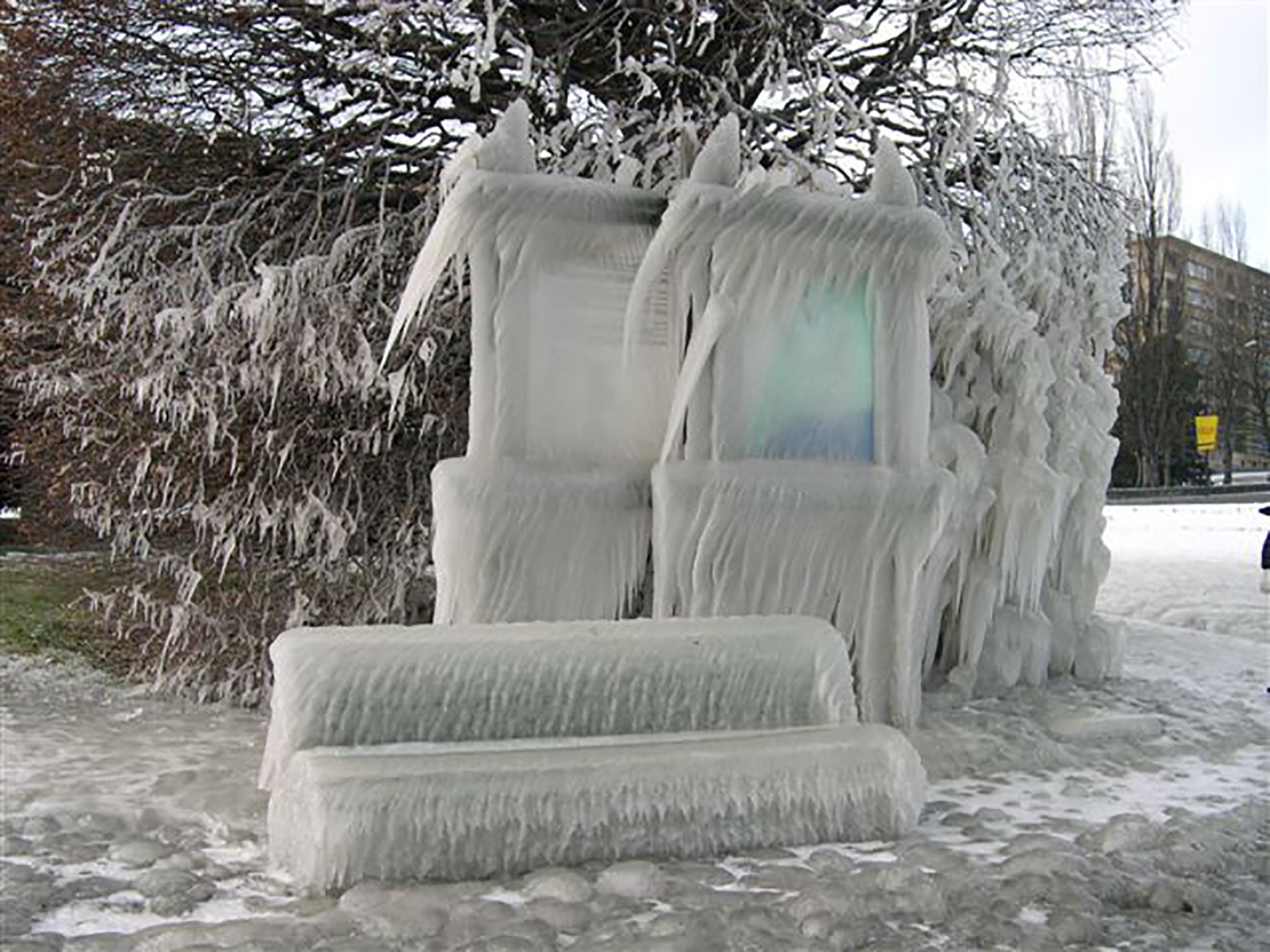 Cold Snow Winter free image download
