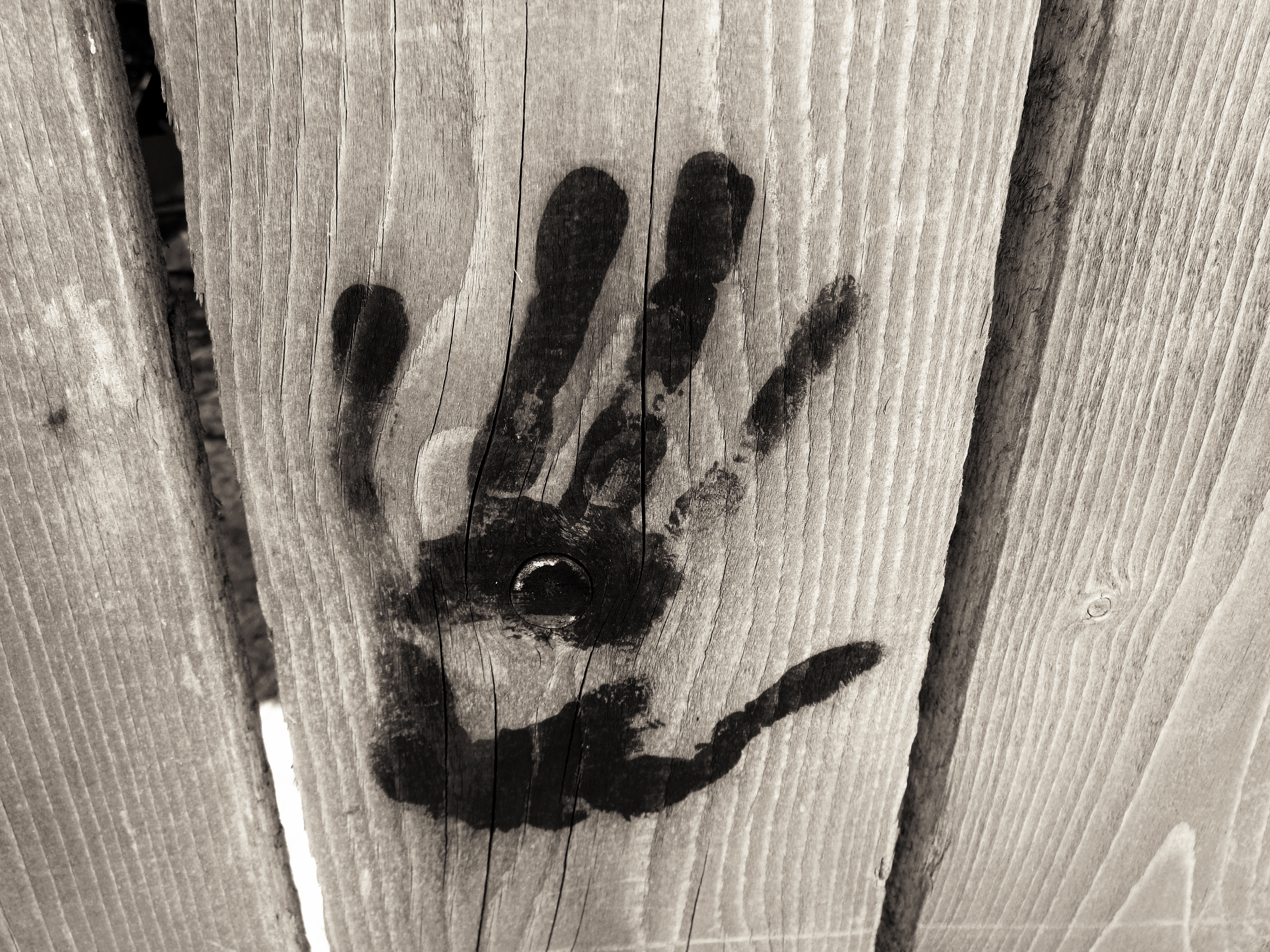Imprint Of The Hand Painting free image download