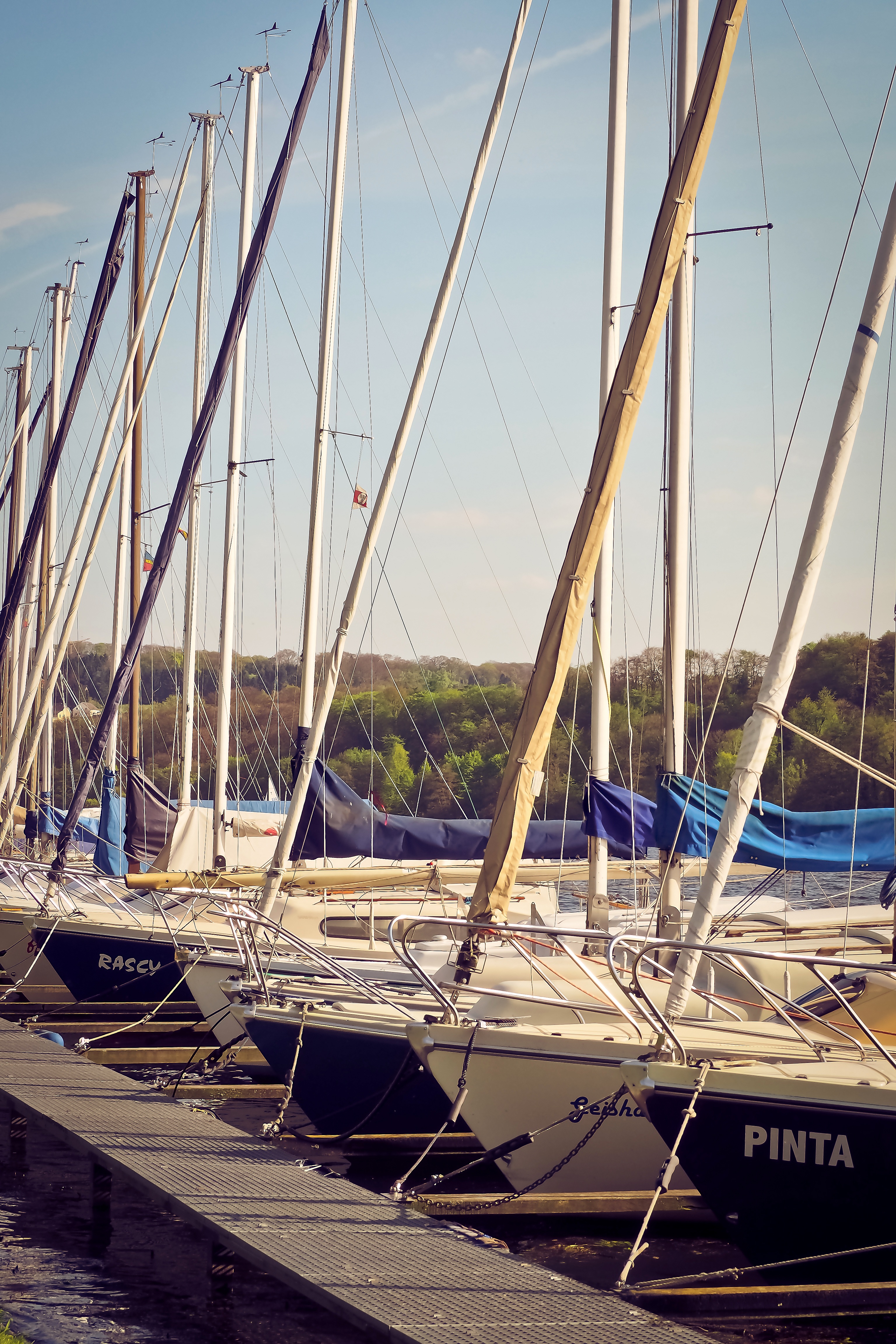 Sailing Boats Web Yacht free image download
