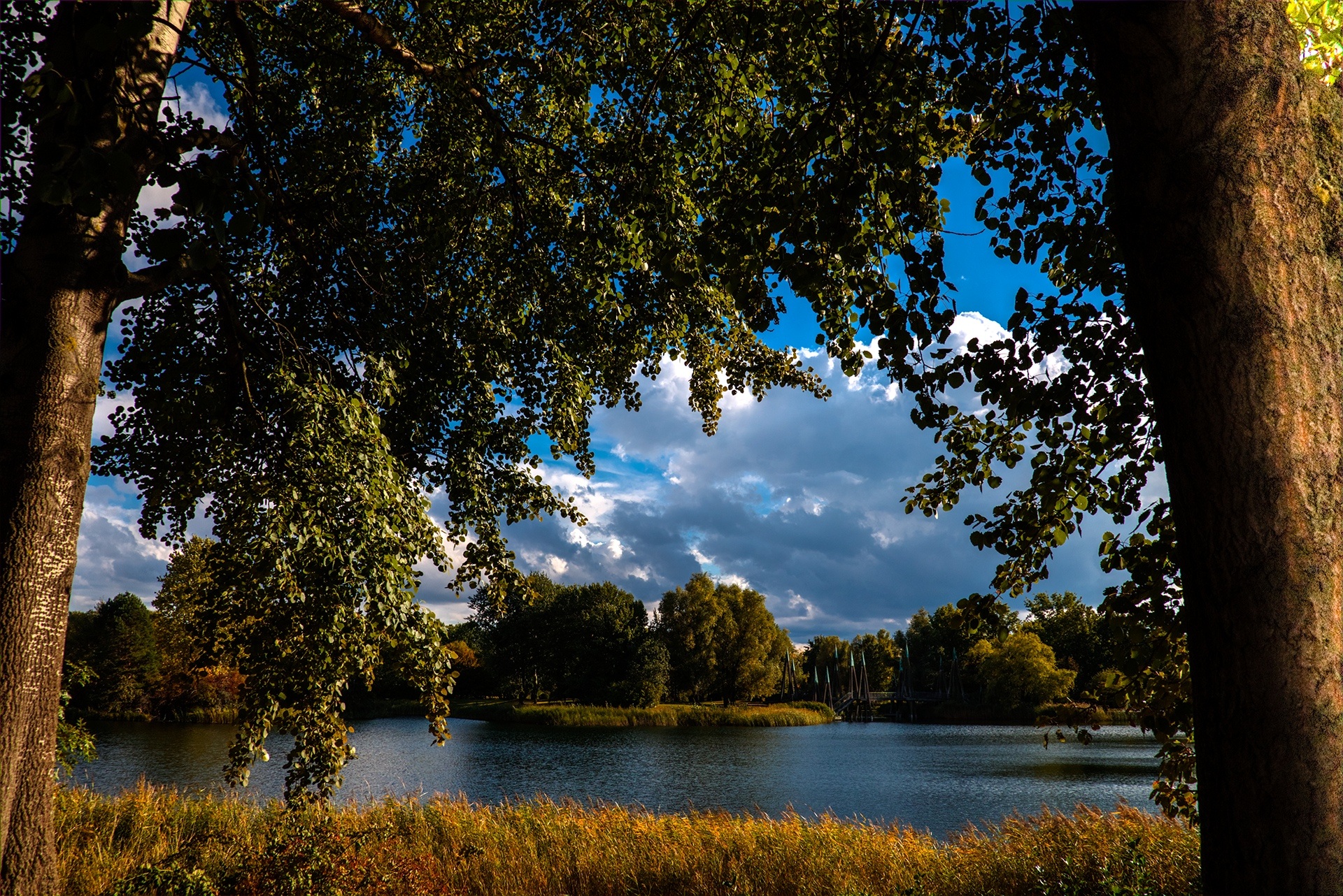 Nature Water Landscape free image download