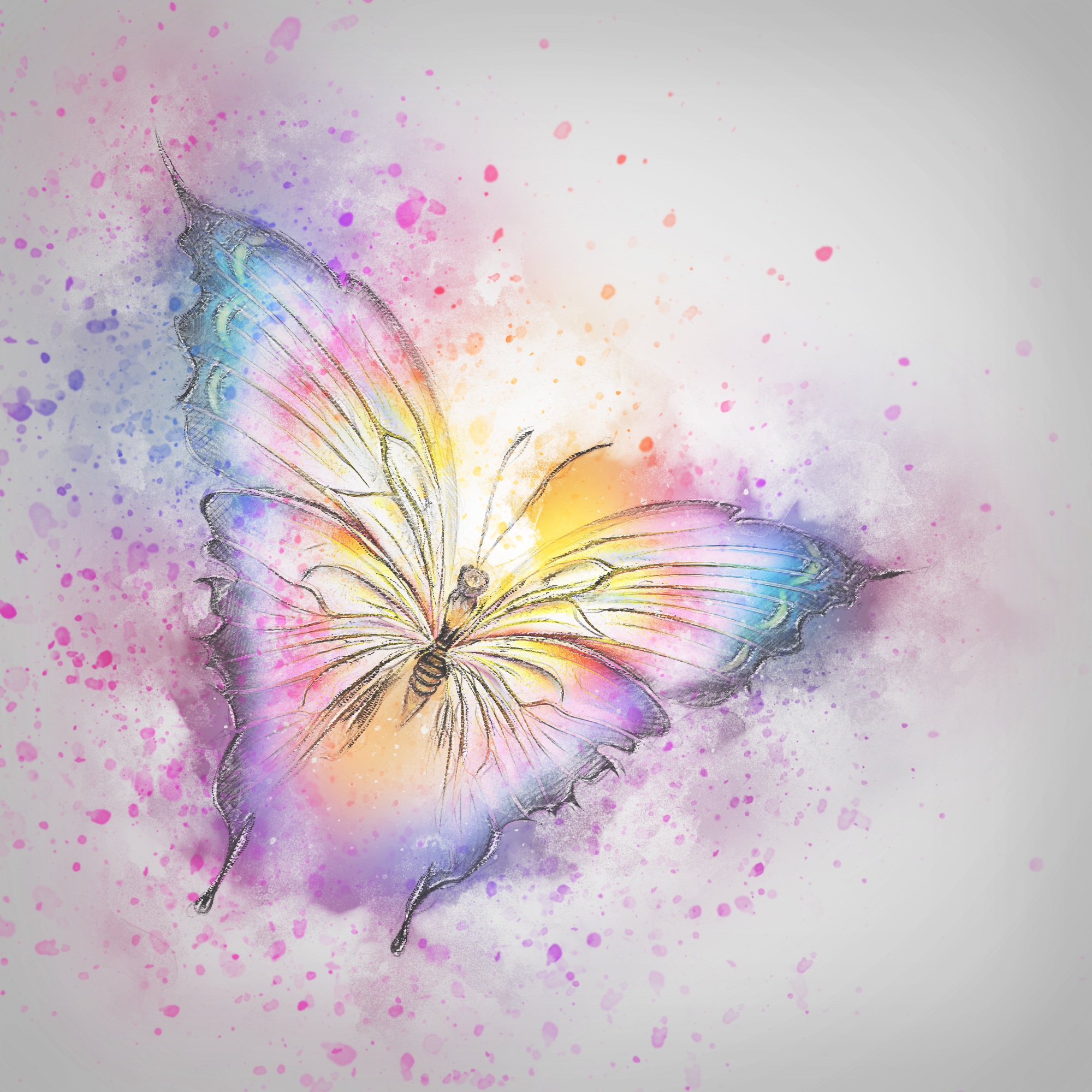 Butterfly insect art abstract drawing free image download