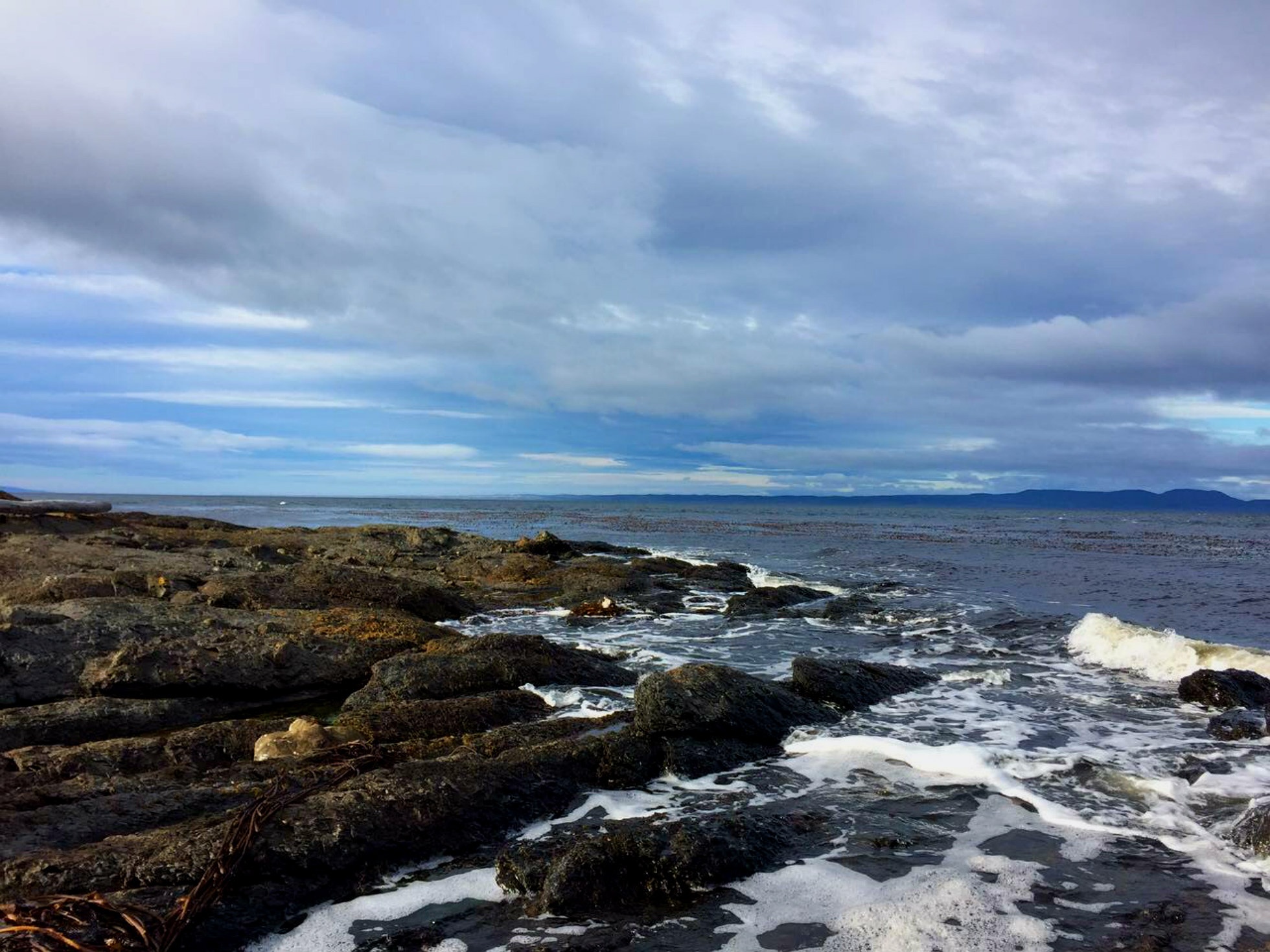 Punta Arenas Chile Beach Coastal free image download