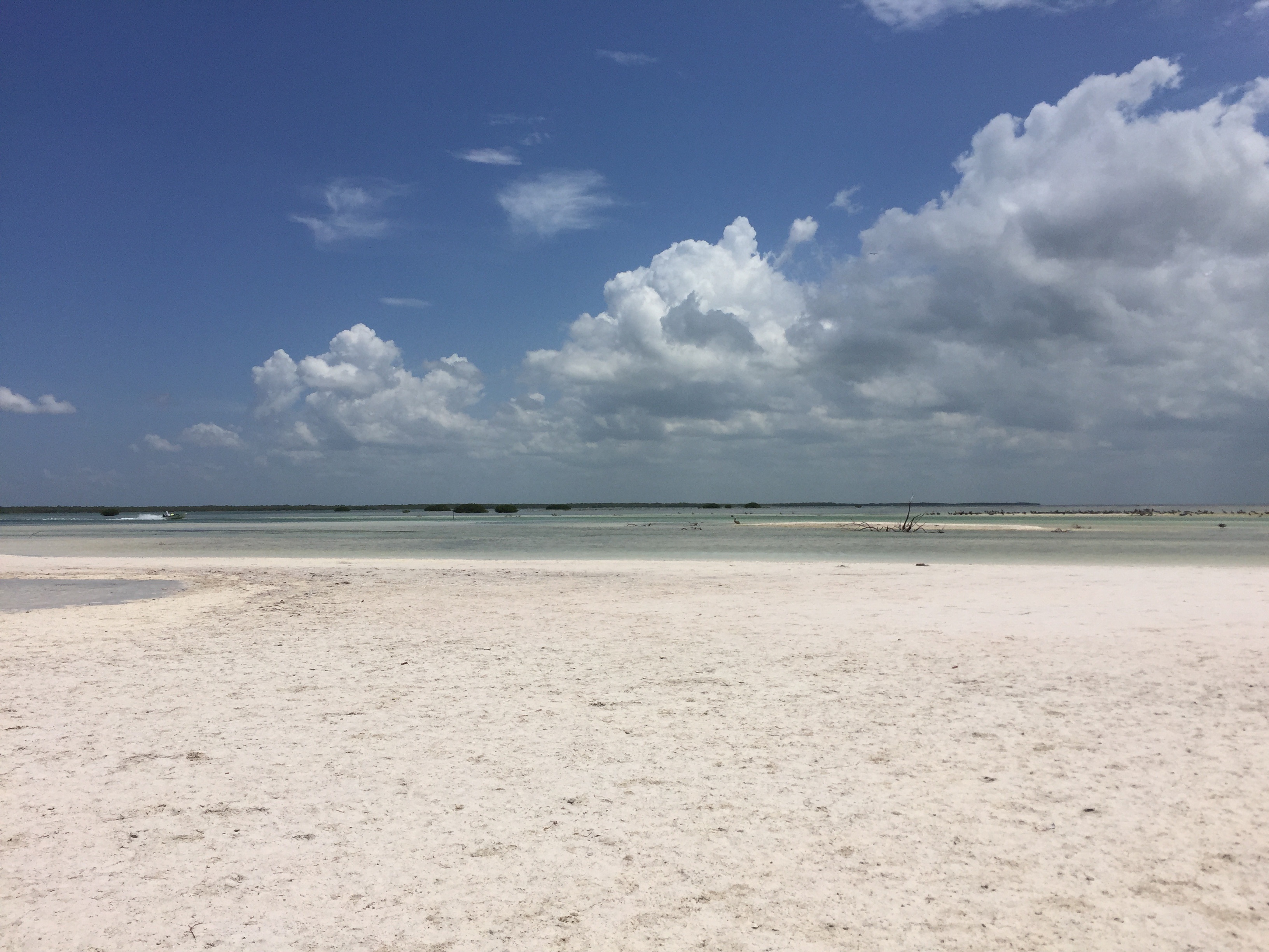 Cozy beach by the sea free image download