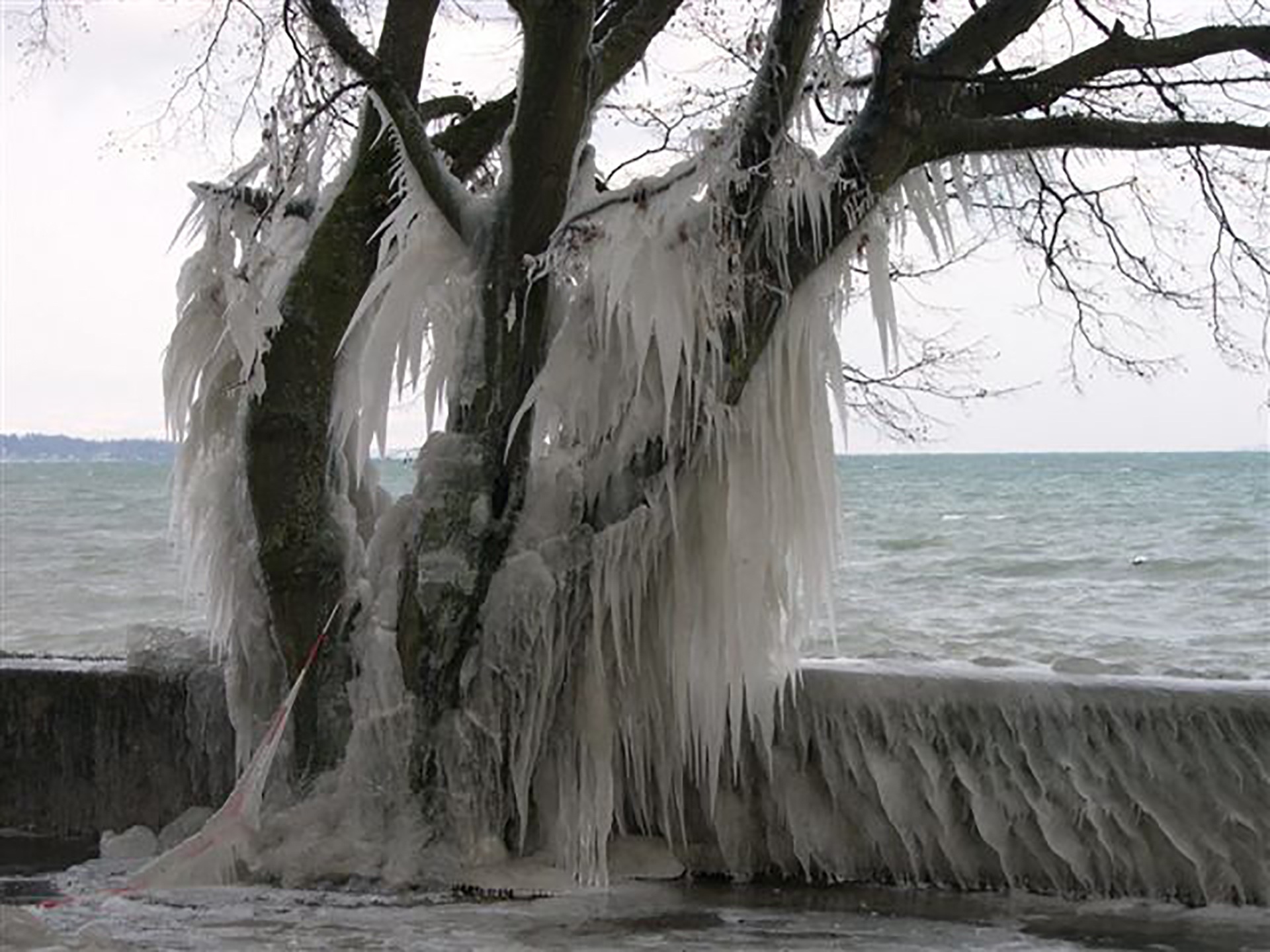 Cold Snow Winter free image download