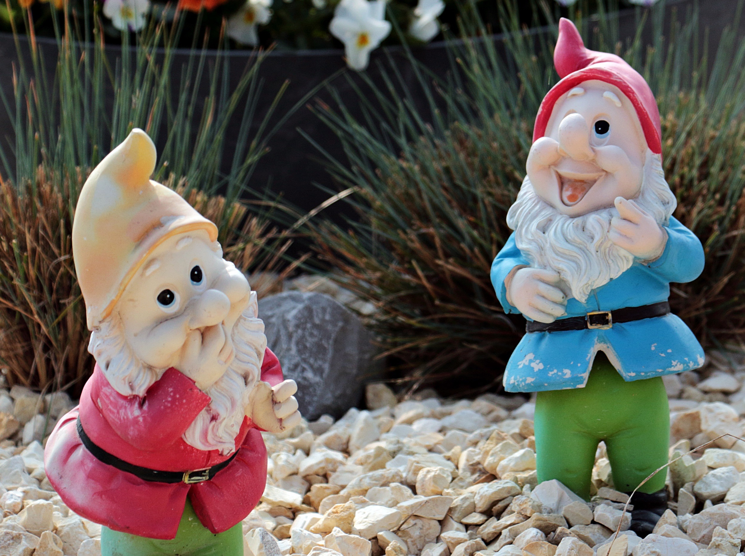 Garden Gnomes Dwarfs Decoration free image download
