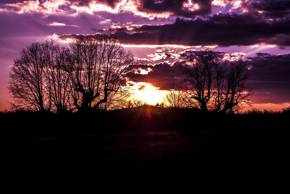 Villaverde Del Monte Oak Soria free image download