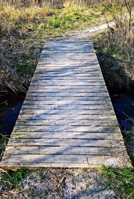 Landscape of Bridge Web over small stream free image download