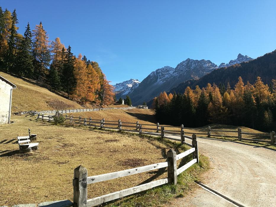 The Val Field Switzerland free image download