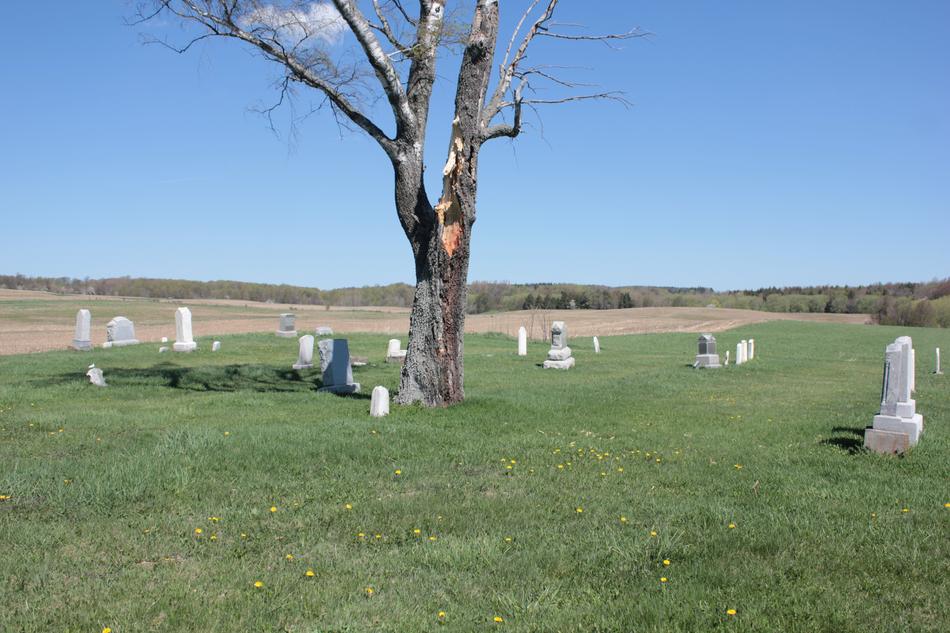 Stone monuments by the tree free image download