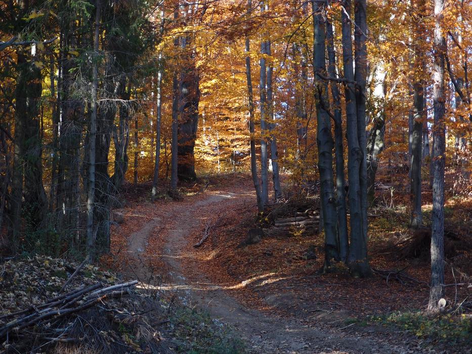 Nature Mountain free image download