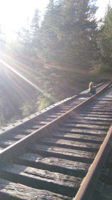 Train Tracks Nature free image download