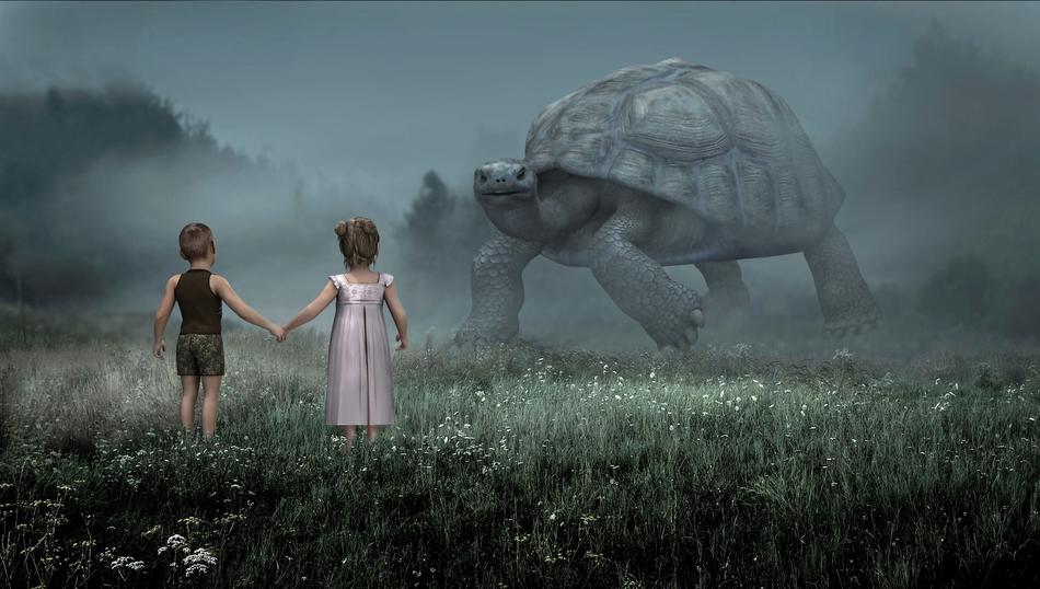 Children turtle fantasy fairy tales free image download