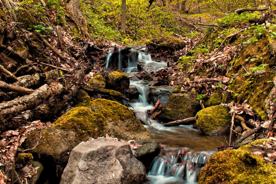 Spring The Creek Water free image download
