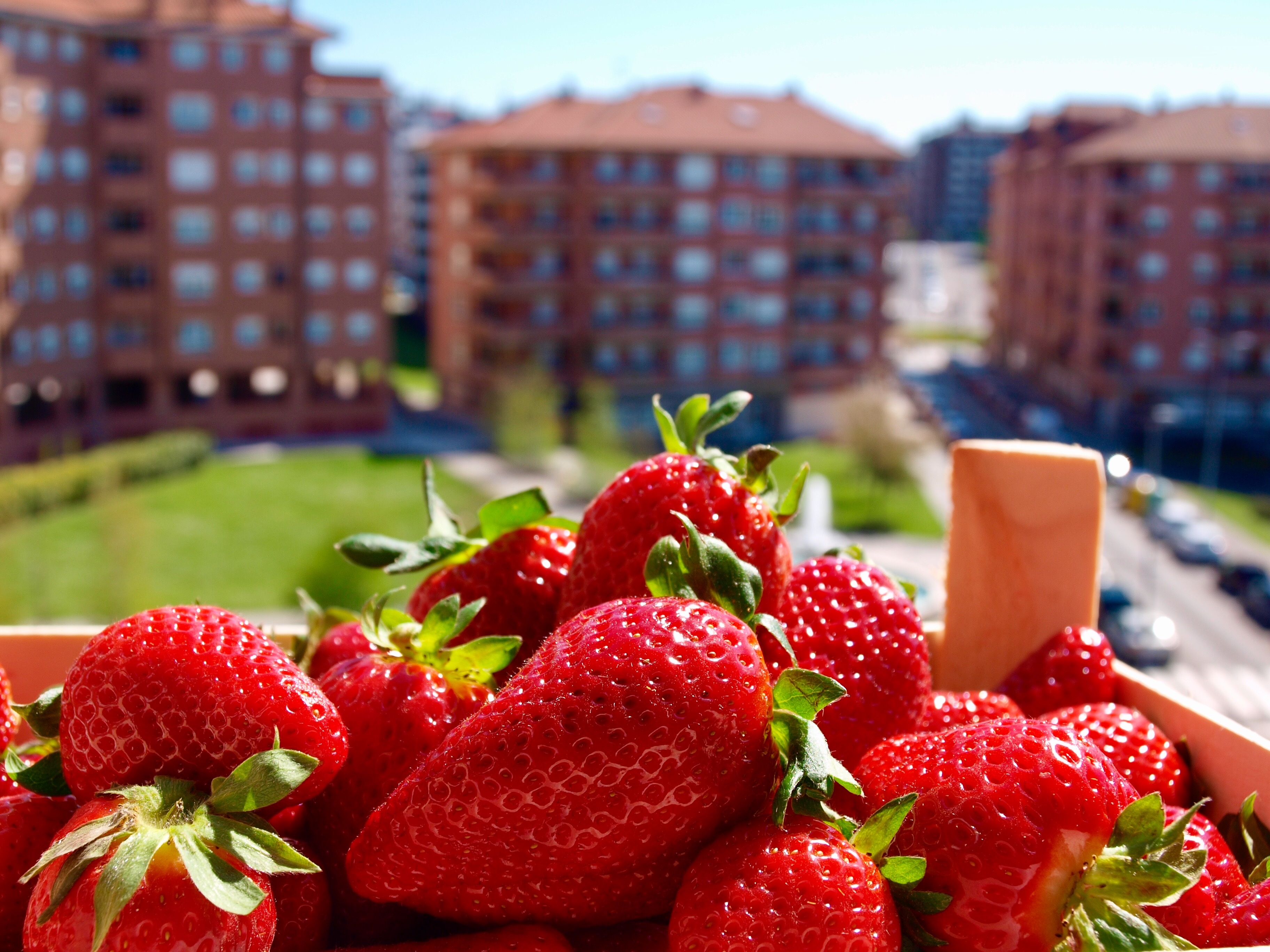 Strawberries Summer free image download