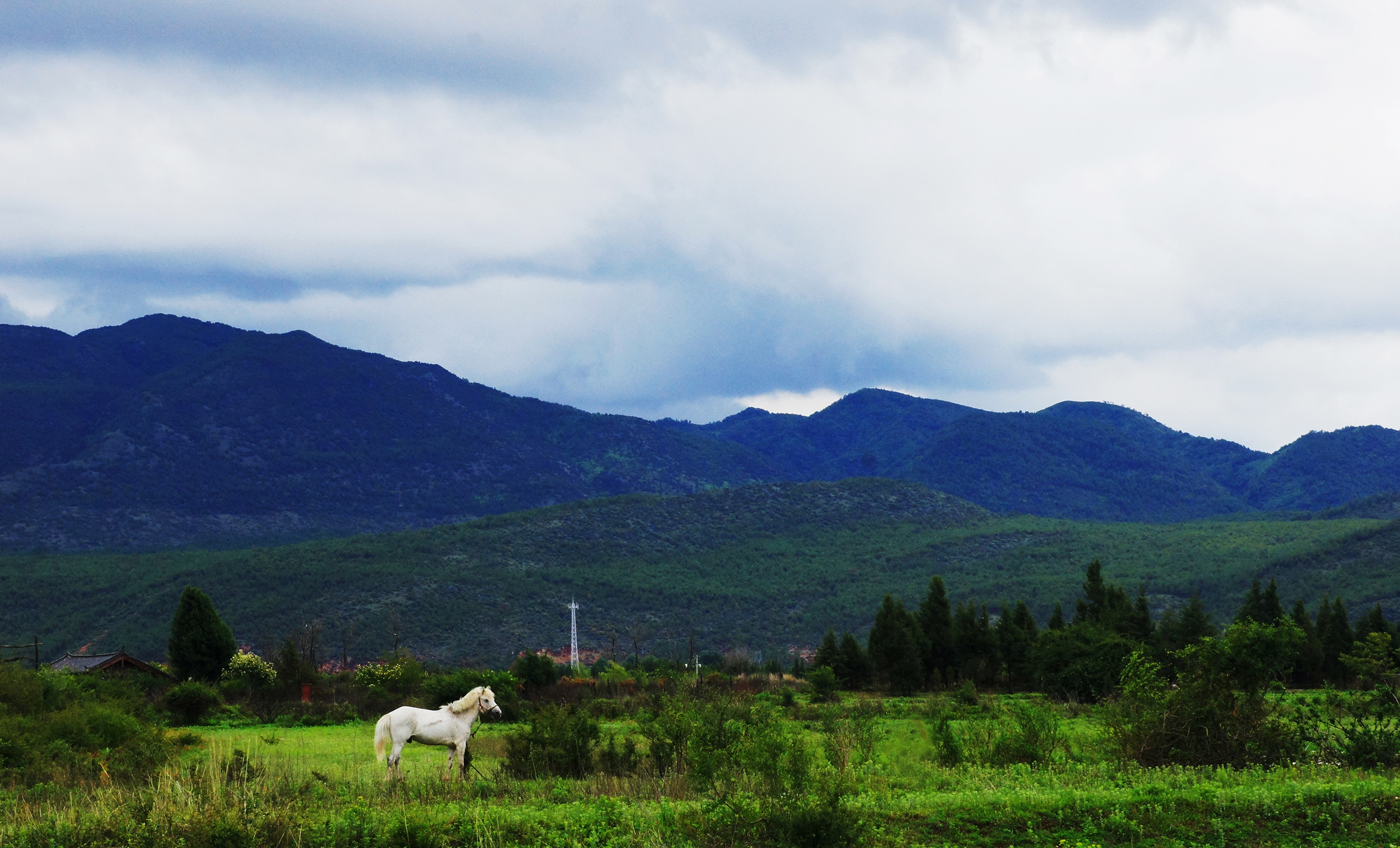 Simple Landscape Painting Distance free image download