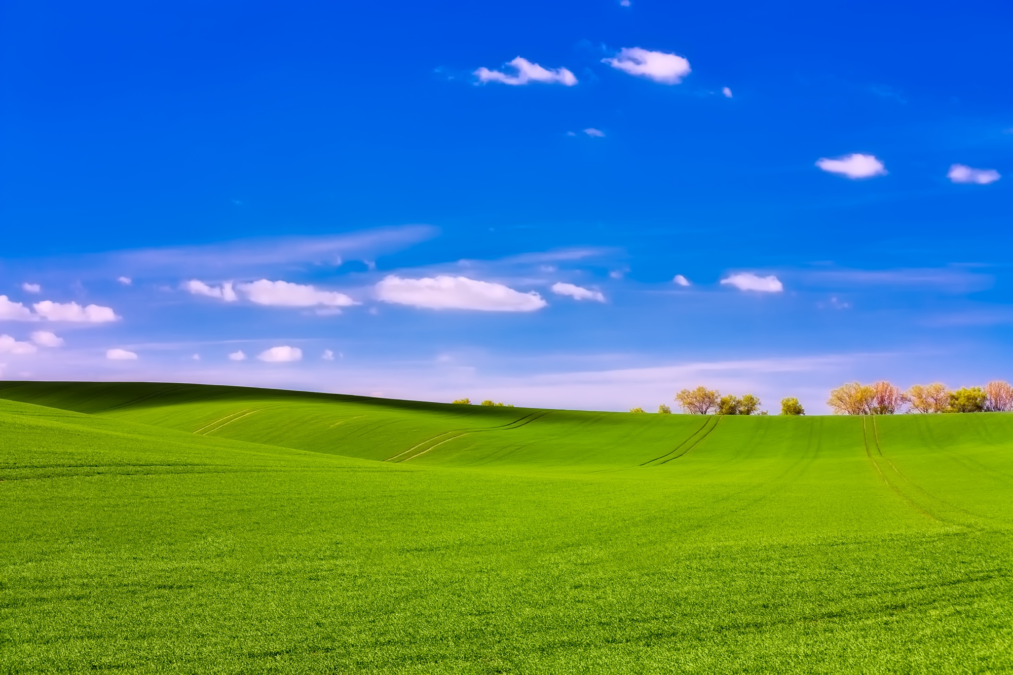 Czech Republic Field Landscape free image download
