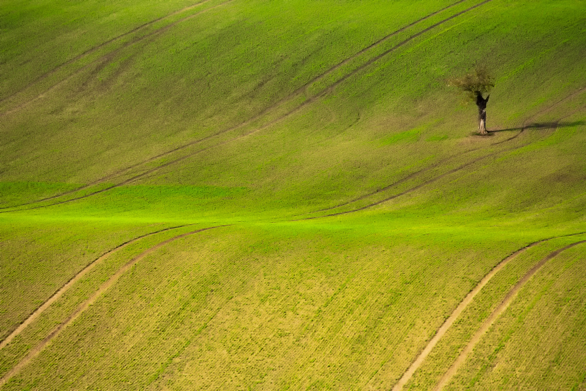 Czech Republic Landscape Field free image download