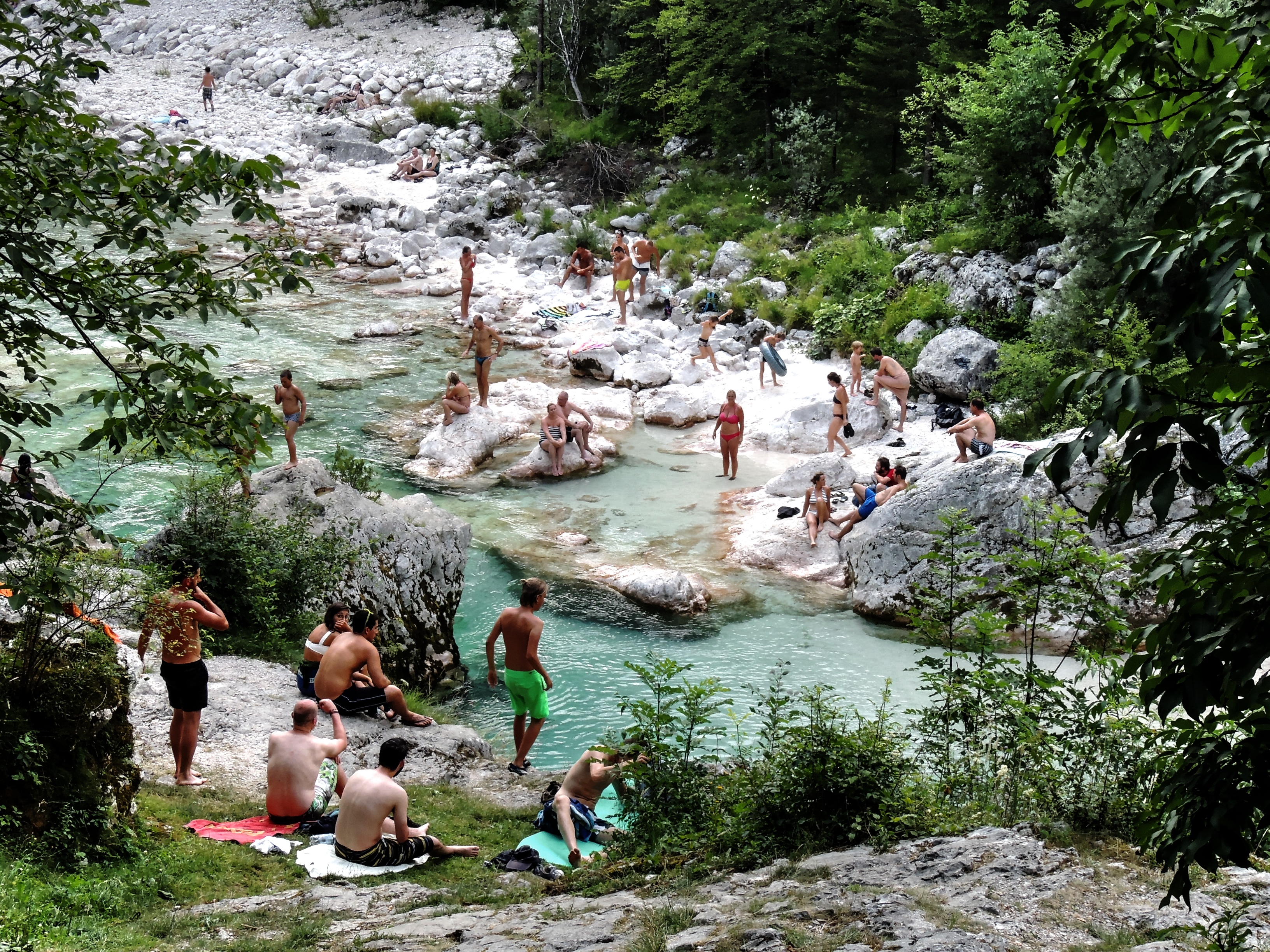 River Swimming More Water free image download