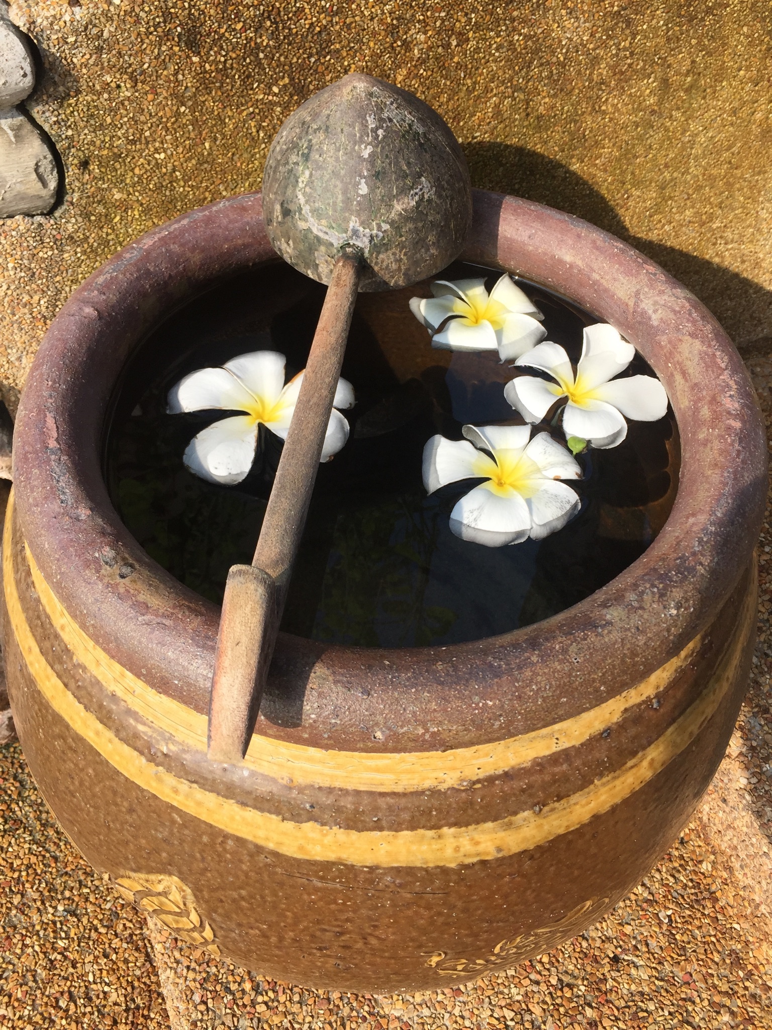 Wash Water Clean Washing free image download