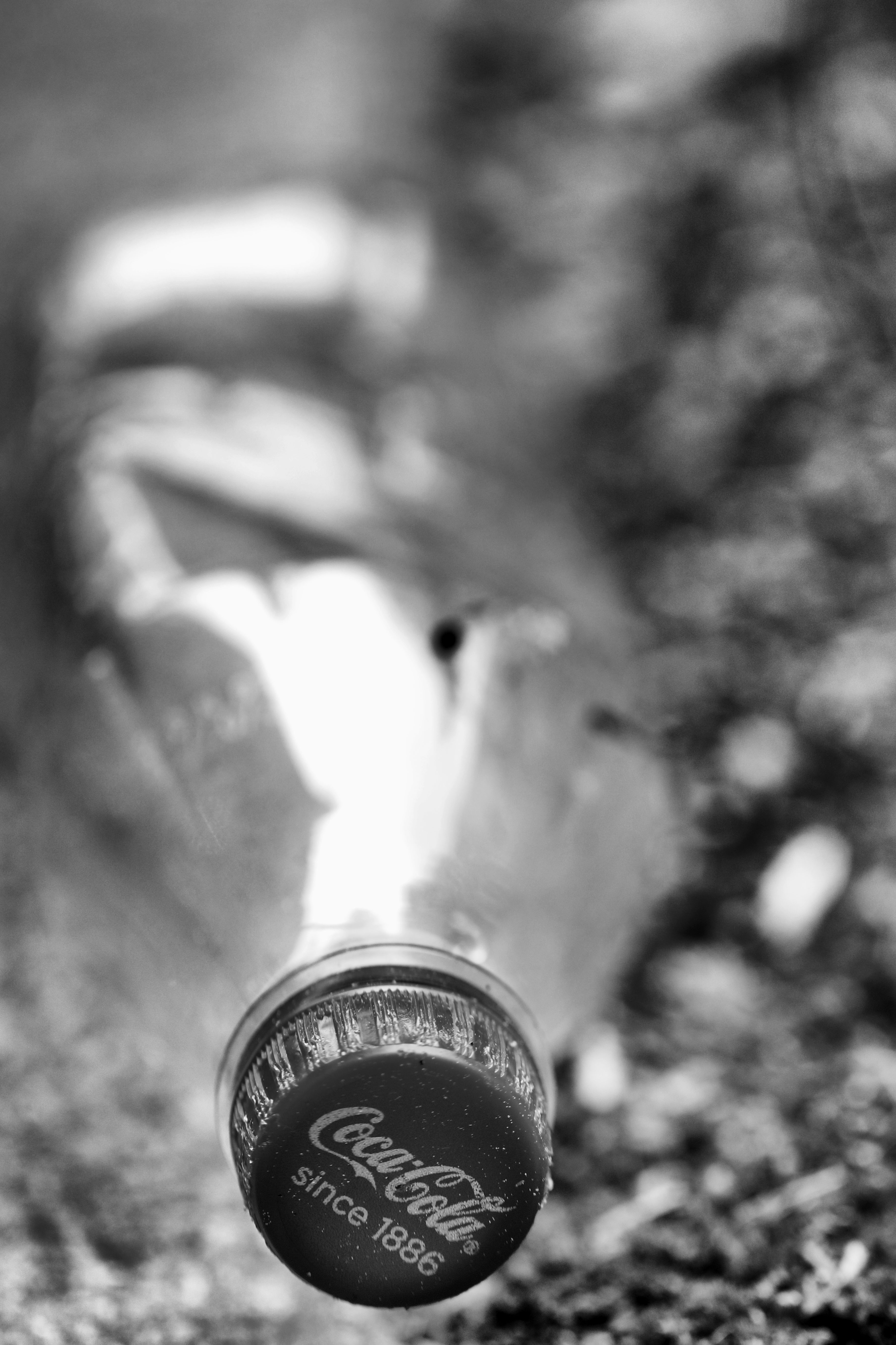 Bottle Plastic Cola free image download