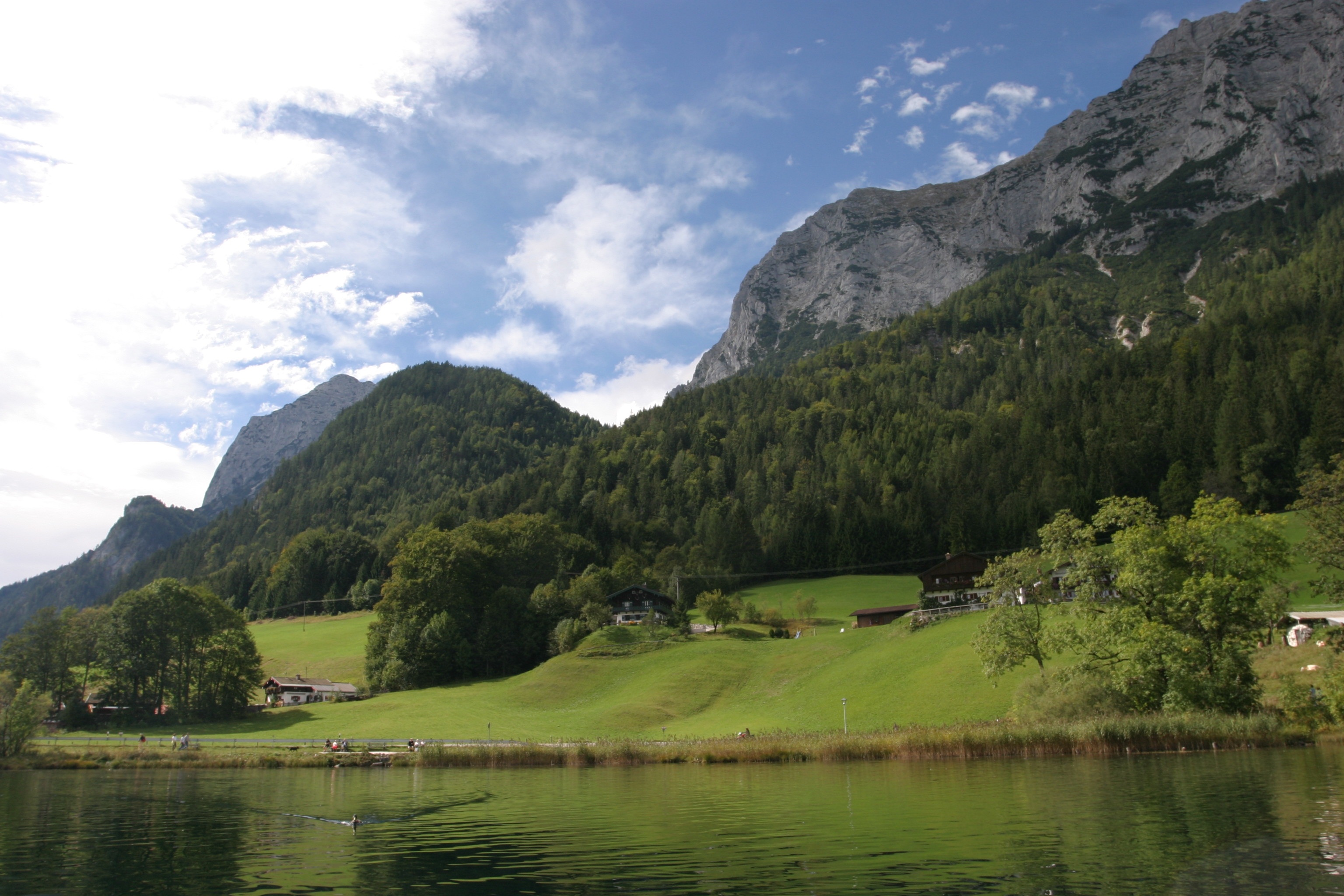 Mountain Lake Alpine free image download