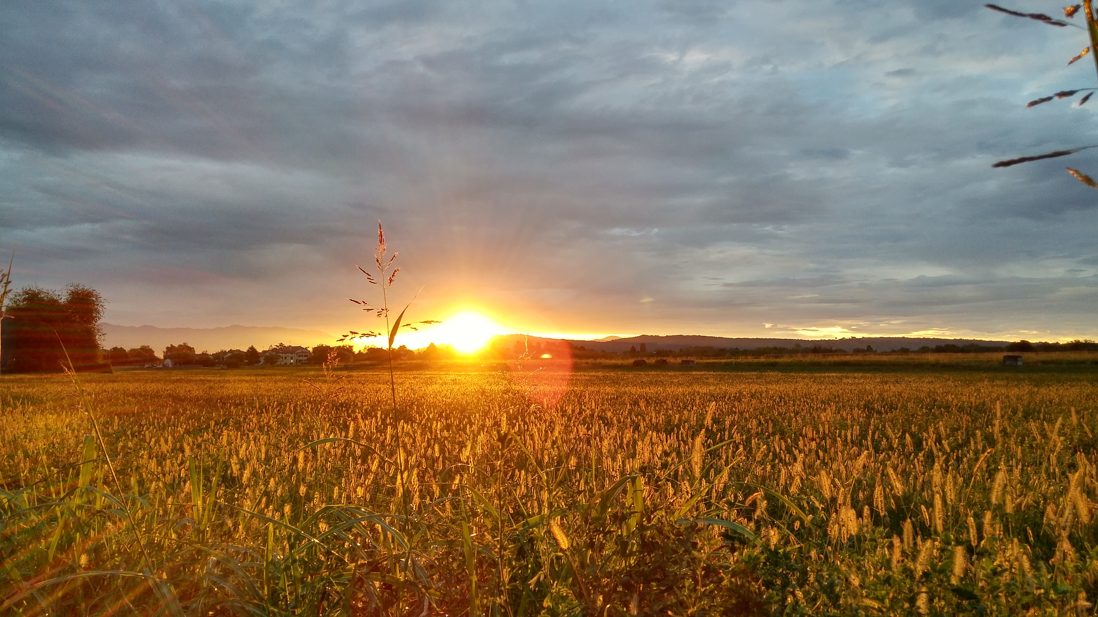 Dawn Sun Landscape free image download